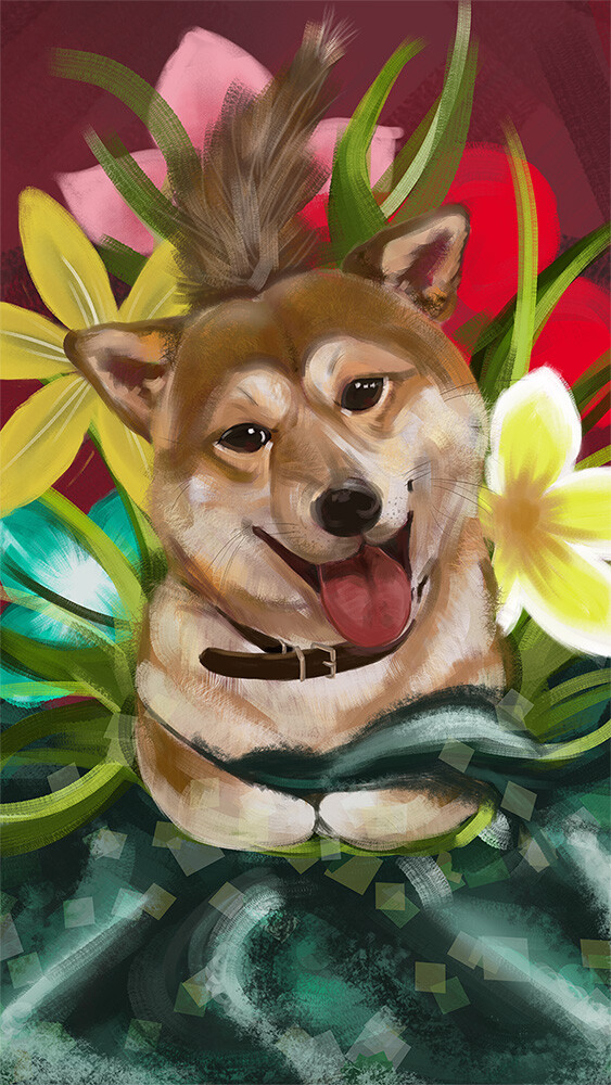 ArtStation - Shiba Portrait 柴犬肖像