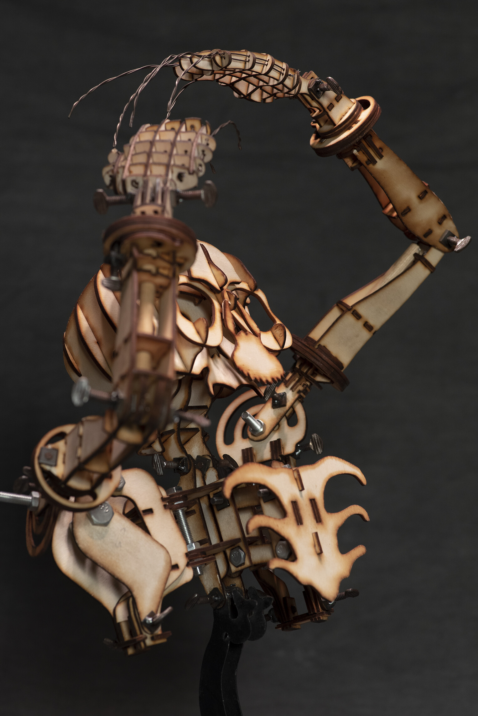 ArtStation - Stop Motion Skeleton