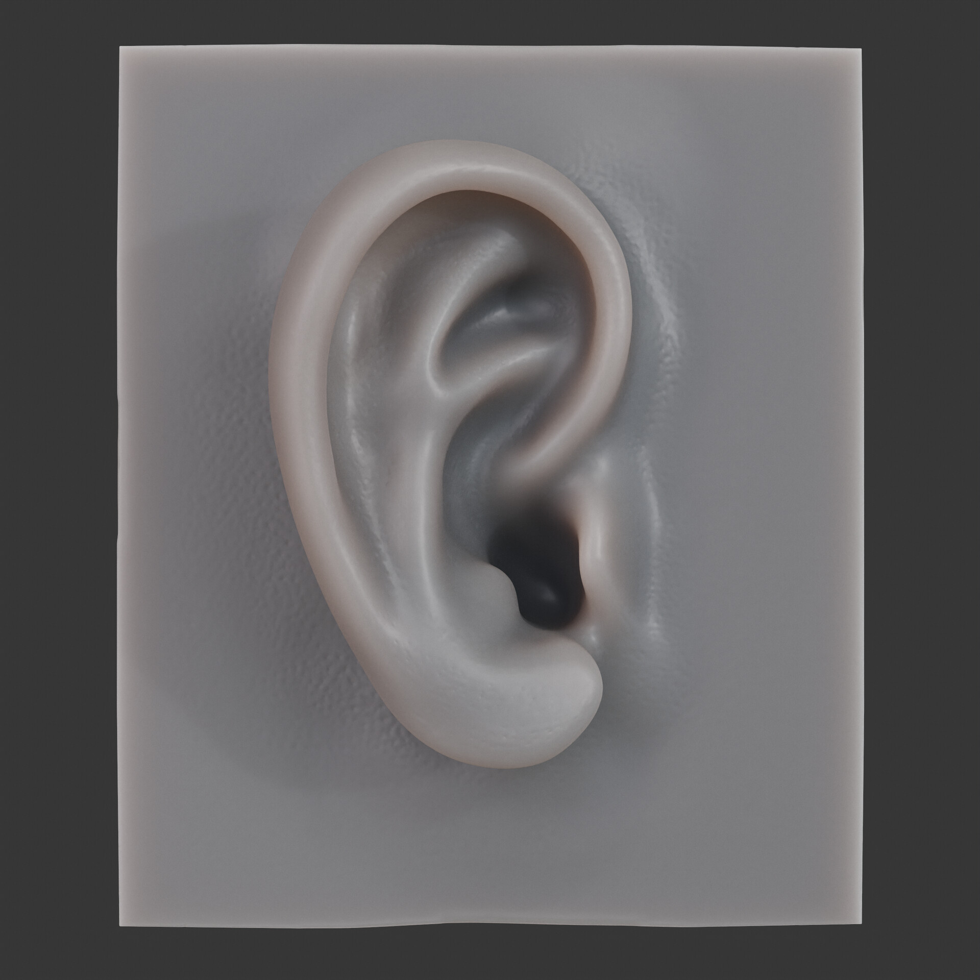 ArtStation - // Ear - Zbrush sculpting