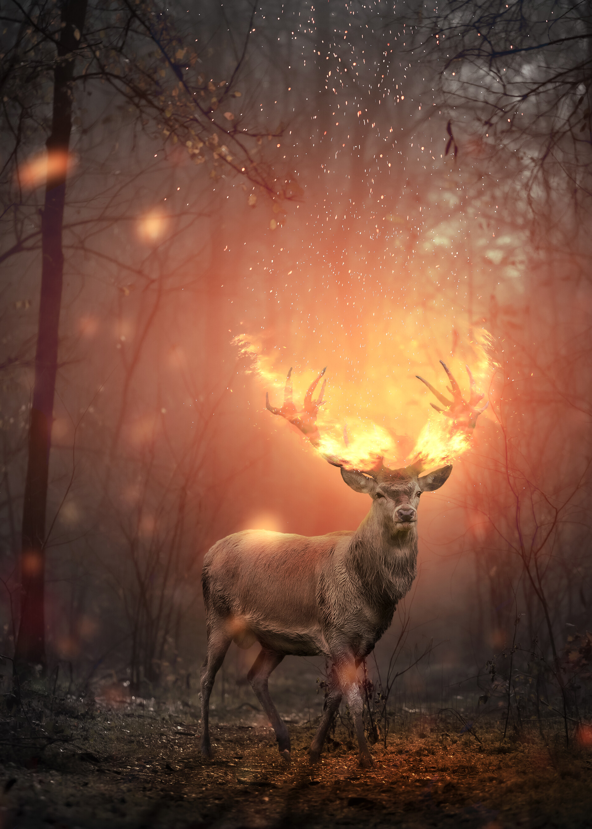 ArtStation - Flaming deer