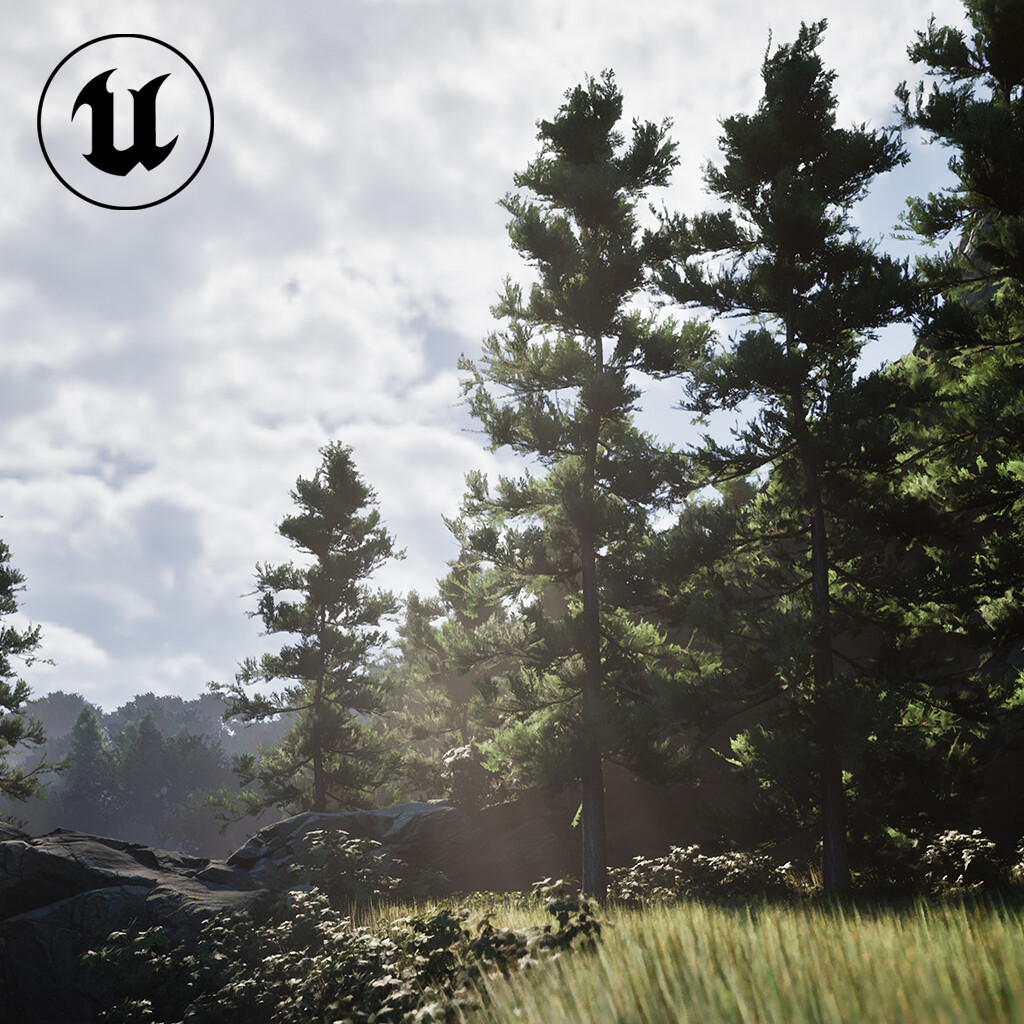 ArtStation - Pine Tree Oasis