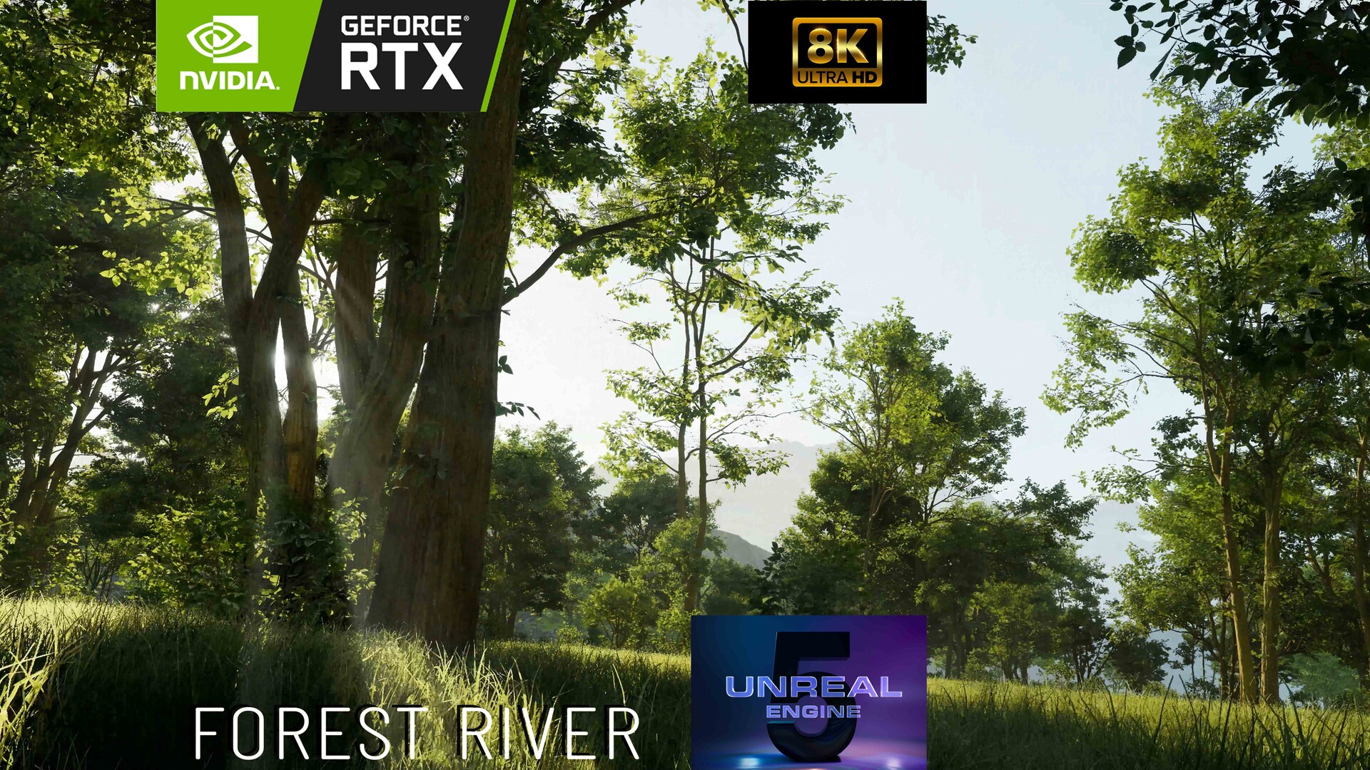 ArtStation - Forest river with AI music - but in 8k 60 fps! | UE5 RTX ...
