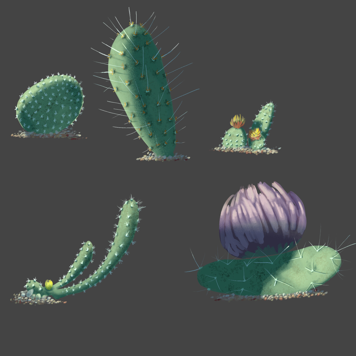 ArtStation - Studies with Cactus