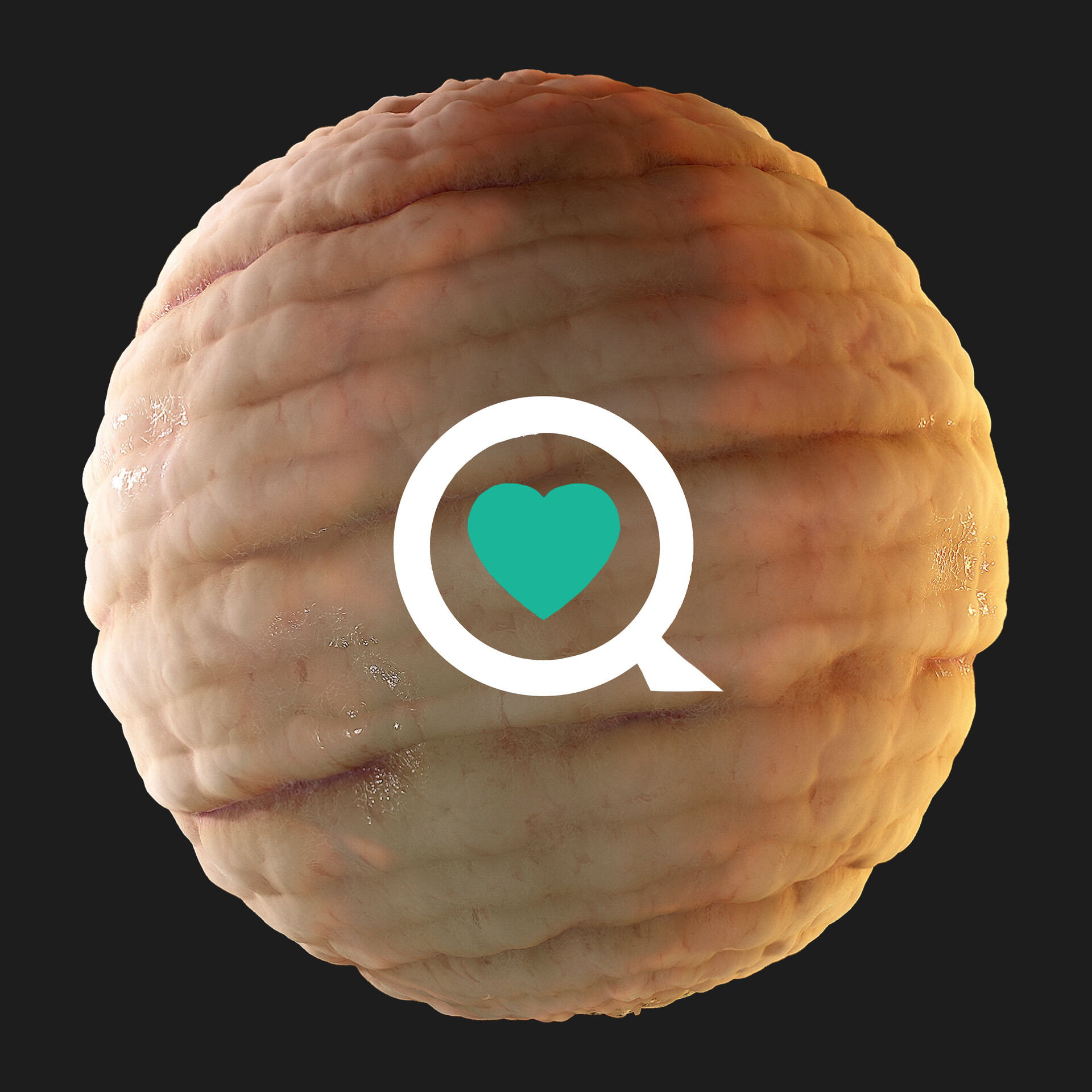 Michael Bonaldi - Kidney - Nephron, Tubule