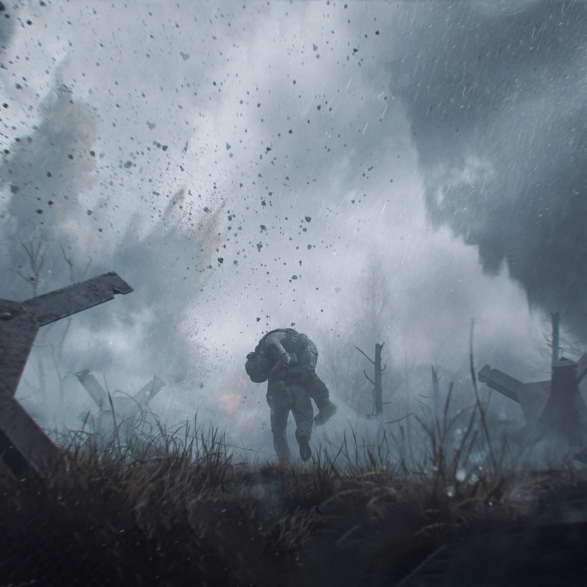 ArtStation - "Gray Cardinals"