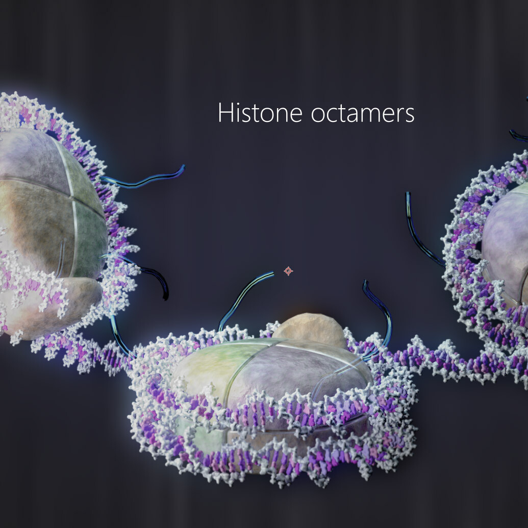 ArtStation - Histones - A sneak peek into a current DNA replication project