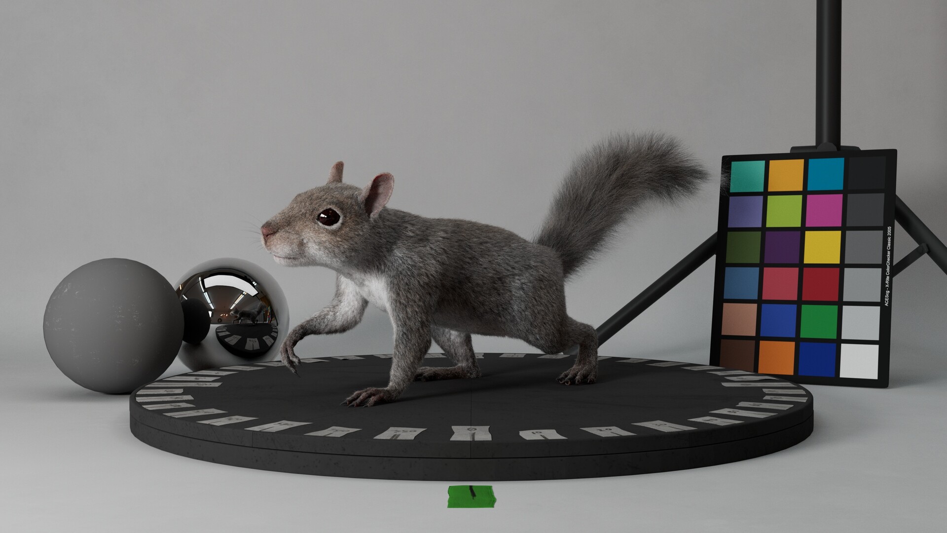 ArtStation - Squirrel