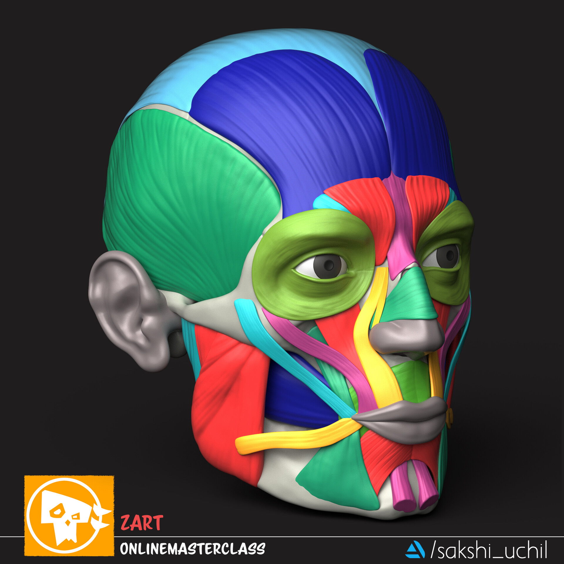 ArtStation - Face Muscles