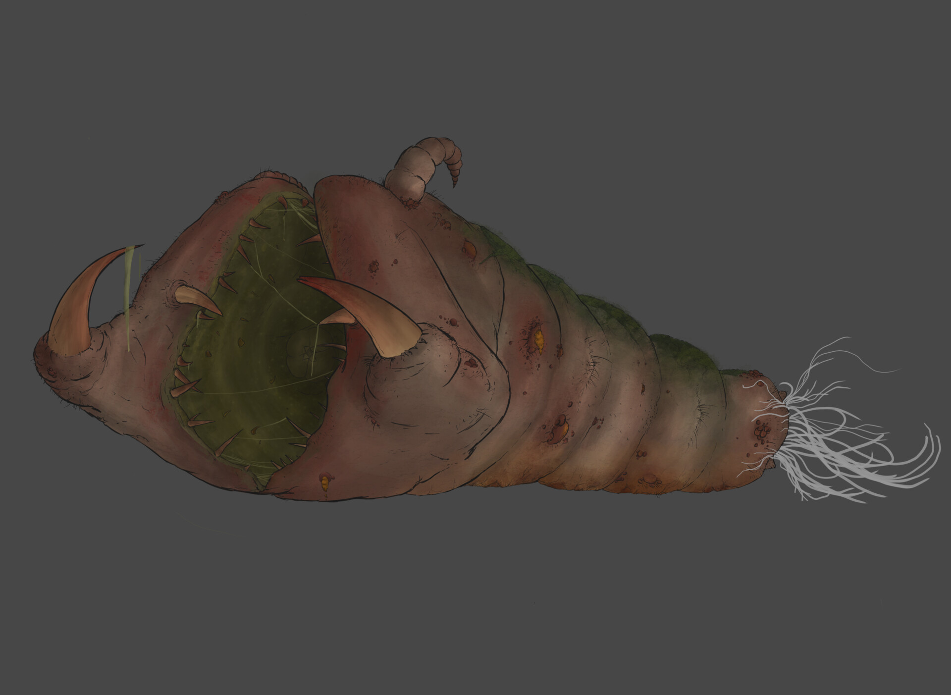 ArtStation - Centi-spider maggot design W/ animatronic concepts