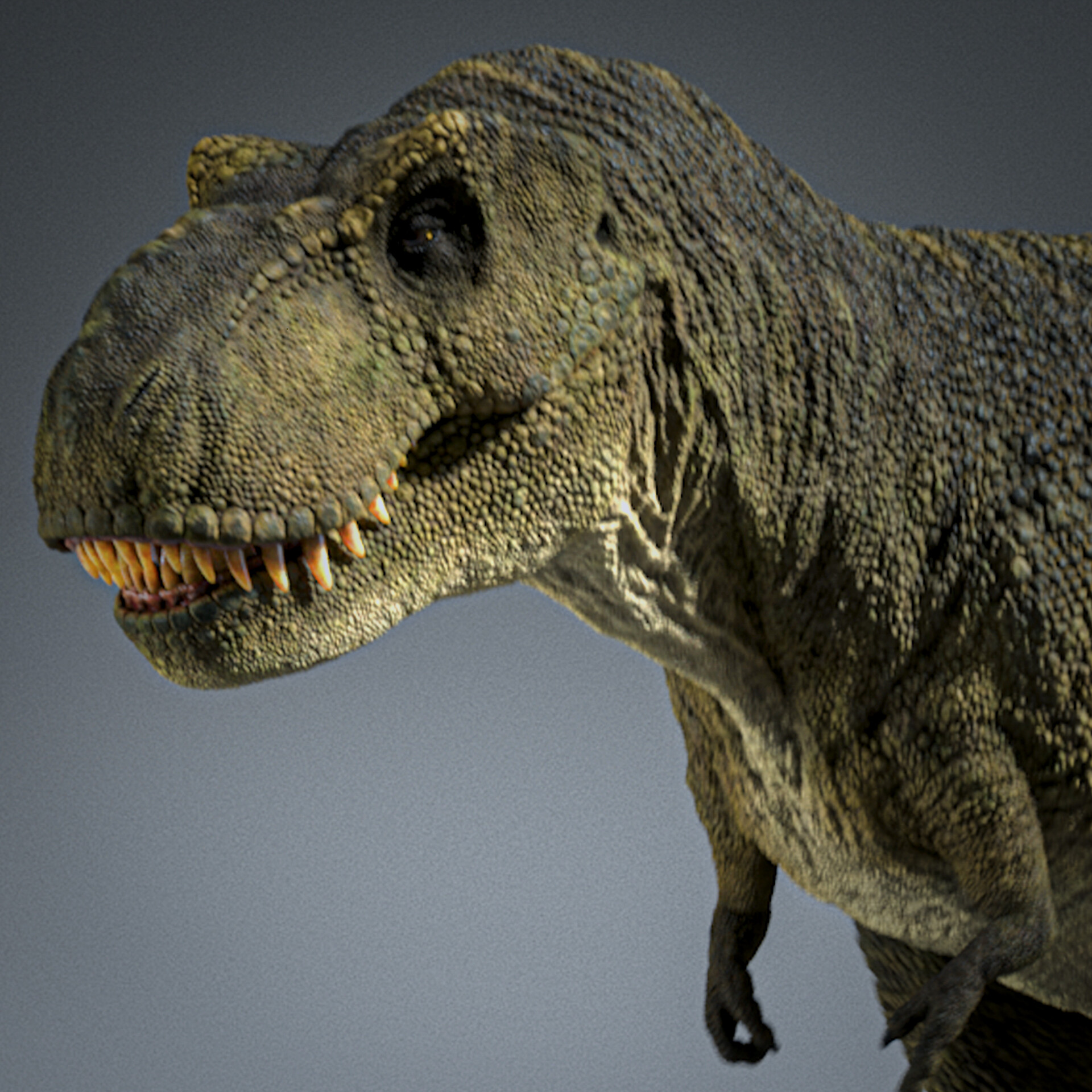 ArtStation - Tyrannosaurus Rex