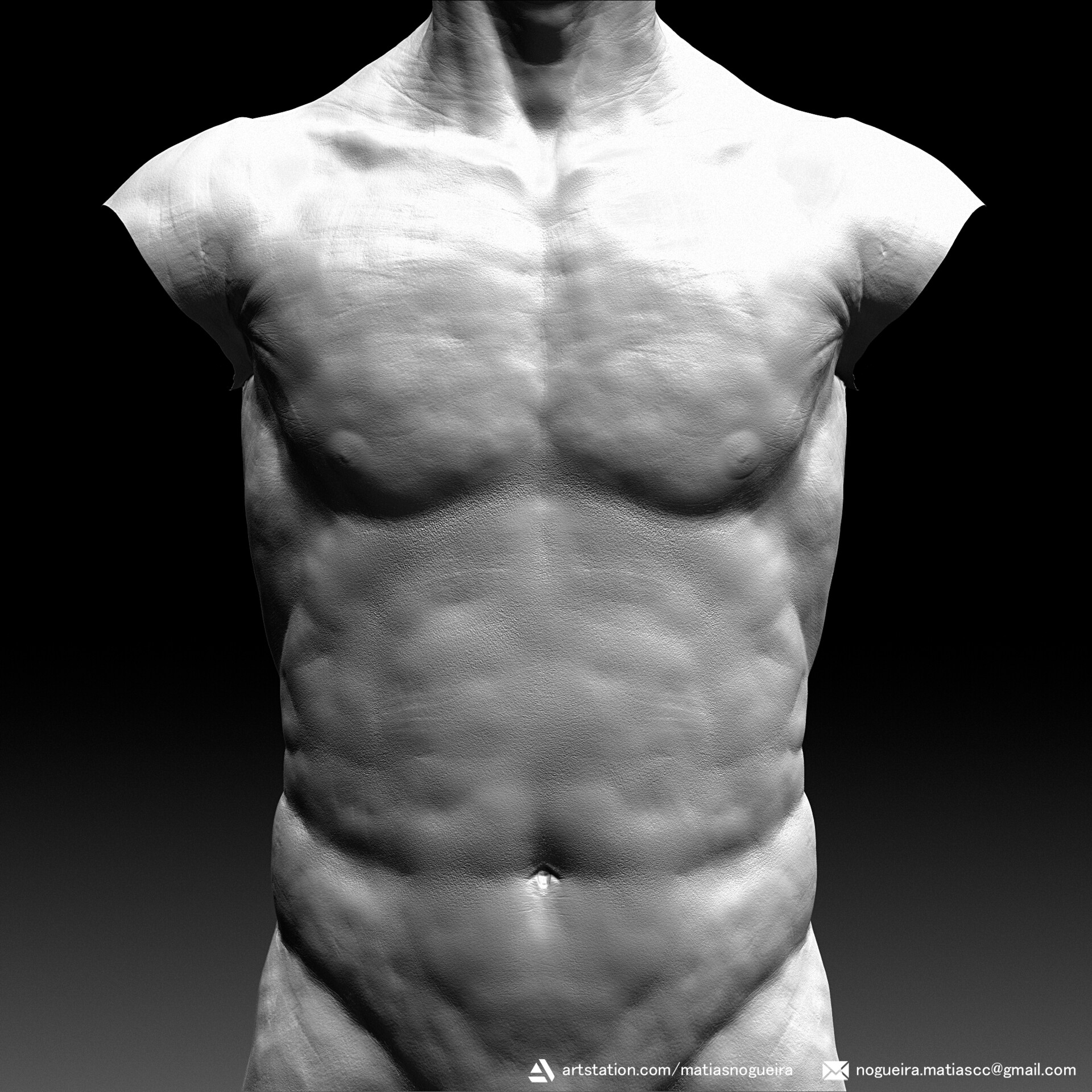 ArtStation - Chest Sculpture - Anatomy Study