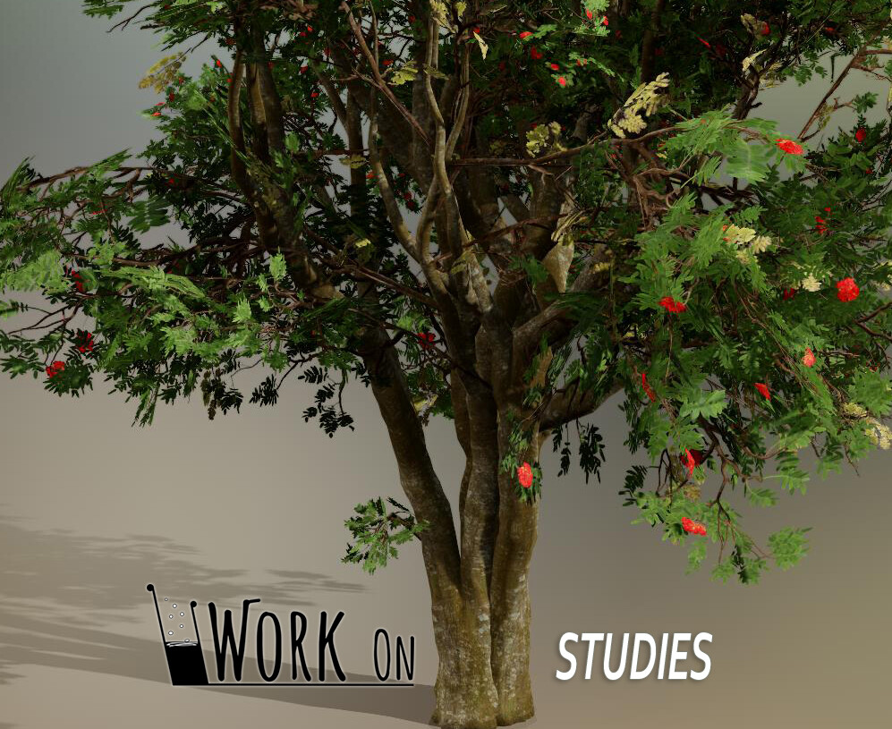 ArtStation - Studies Foliage with Speedtree