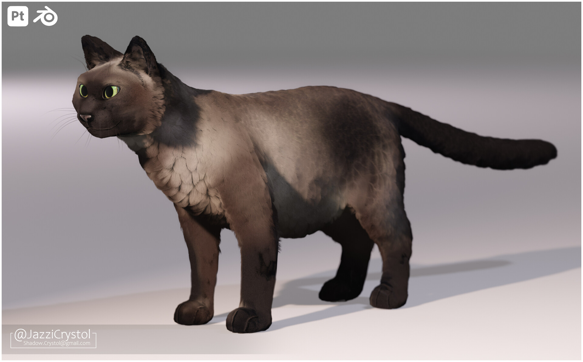 ArtStation - Kira the Siamese cat 3D model