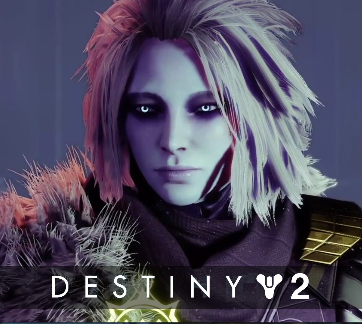 ArtStation - Destiny 2