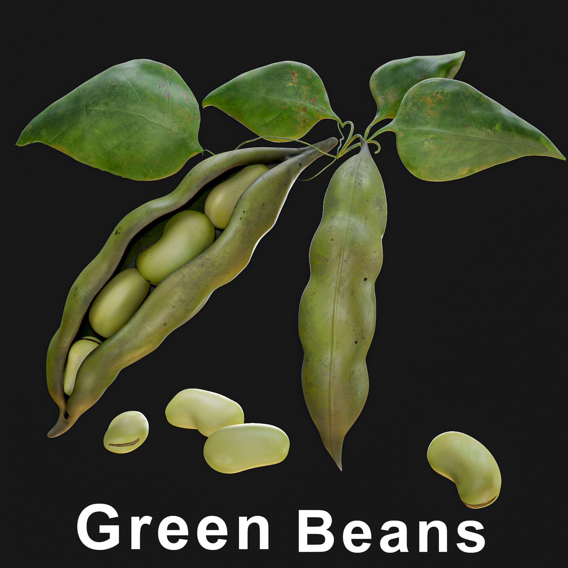 ArtStation - Green Beans Model