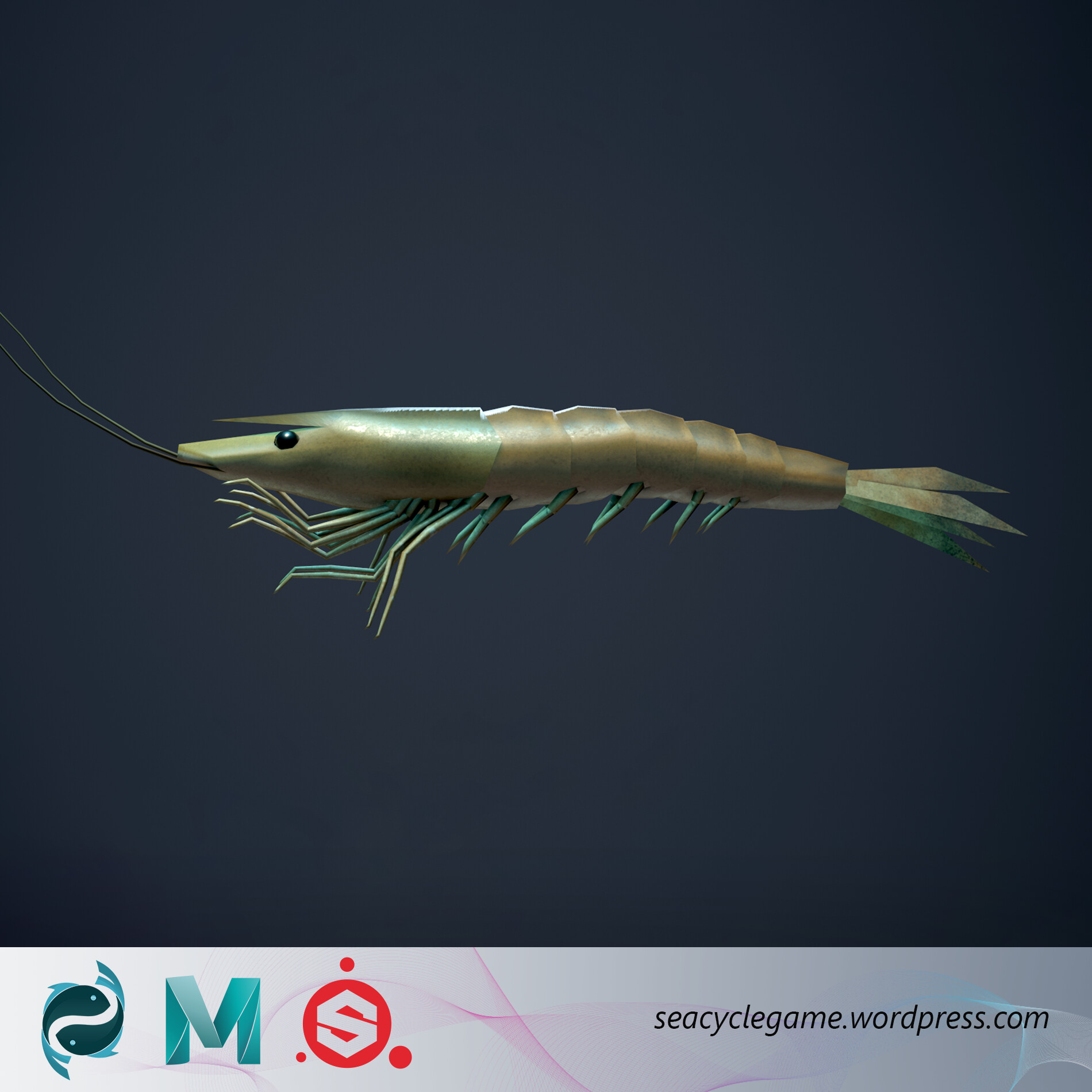 ArtStation - Sea Cycle: Stylized Low-Poly Shrimp