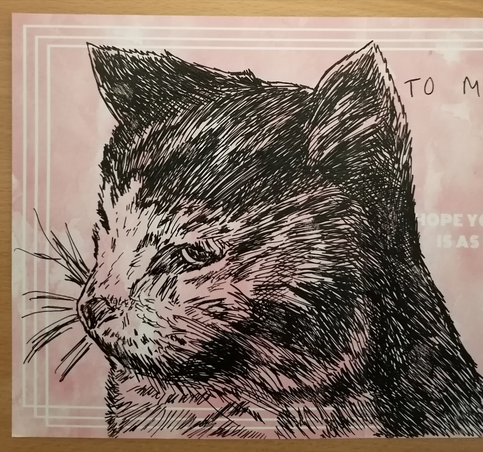 ArtStation - Derek the Duke Cat