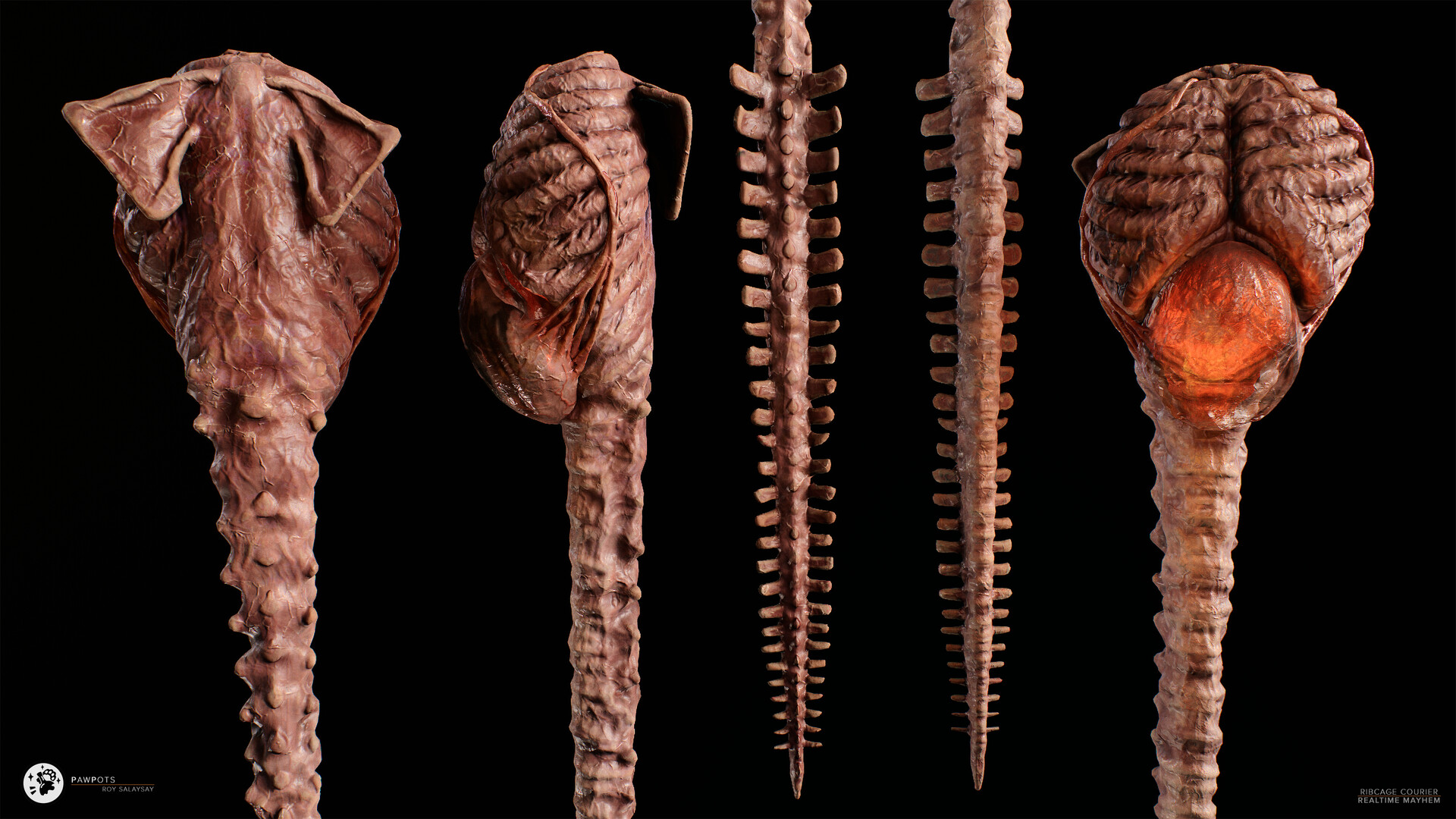 ArtStation - Ribcage Courier