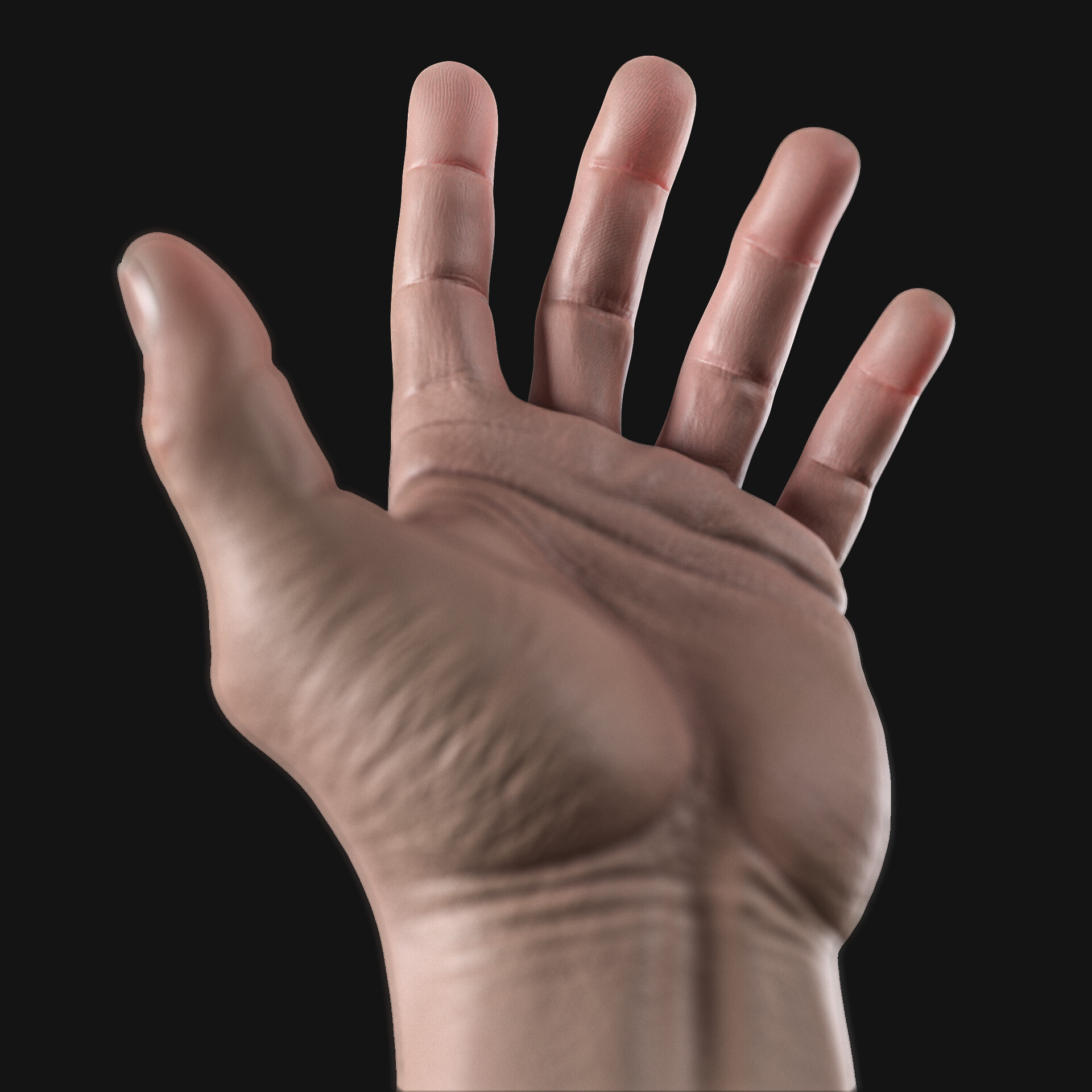 Gagik Zakaryan - Human Hand