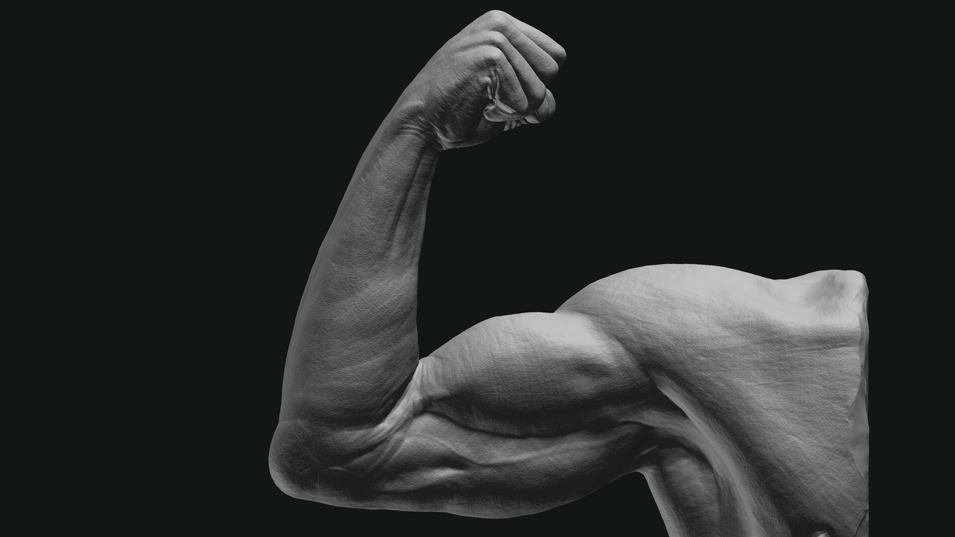 ArtStation - Anatomy study- Arm