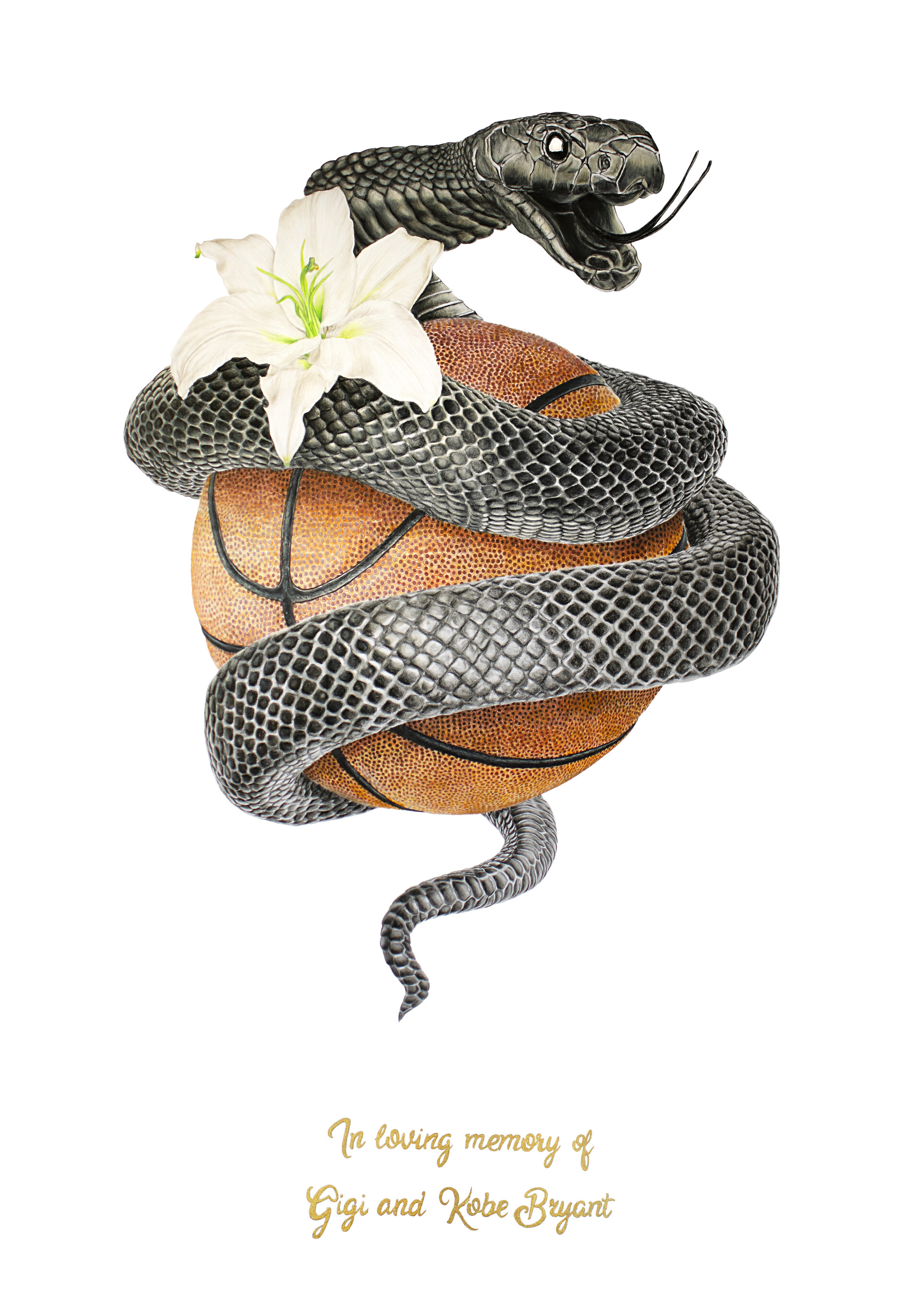 ArtStation - Mamba Tribute