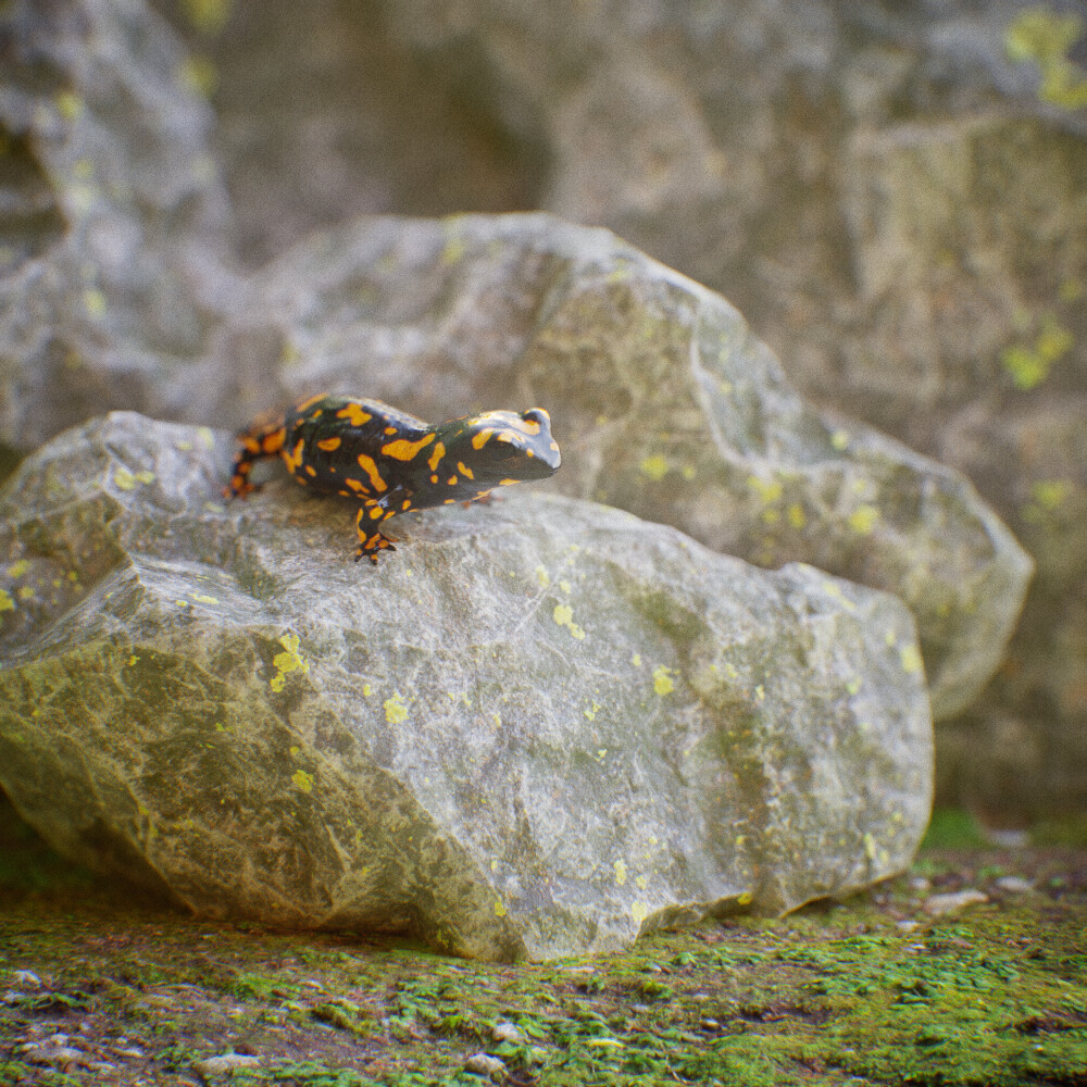 ArtStation - Fire salamander 3d model