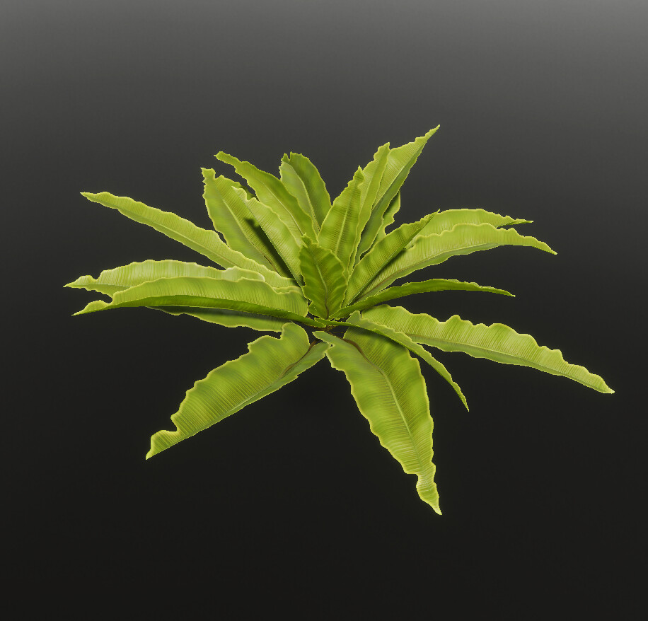 ArtStation - Fern