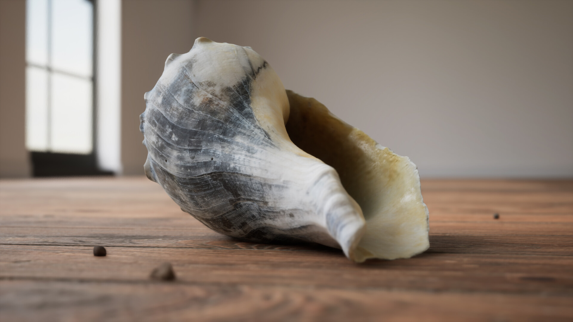 ArtStation - Sea Shell: Unreal 5.2
