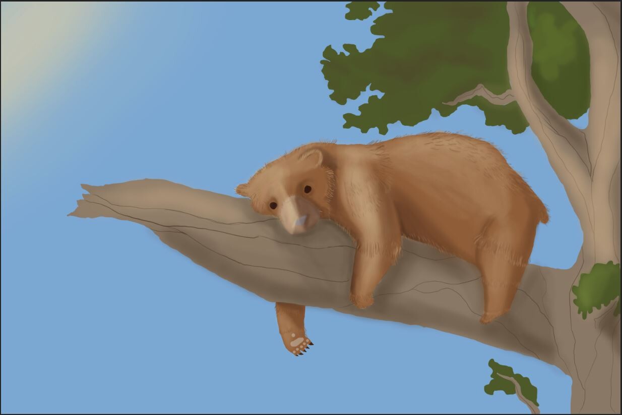 ArtStation - Fluff Bear