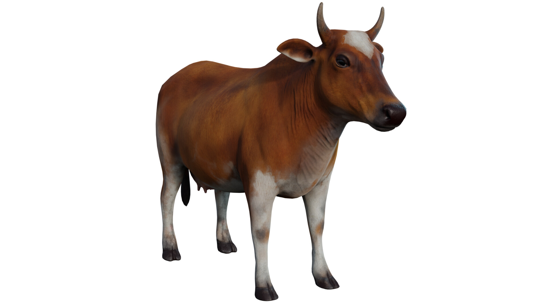 ArtStation - Lowpoly COW Modeling and Textureing