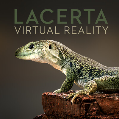 ArtStation - Lacerta VR