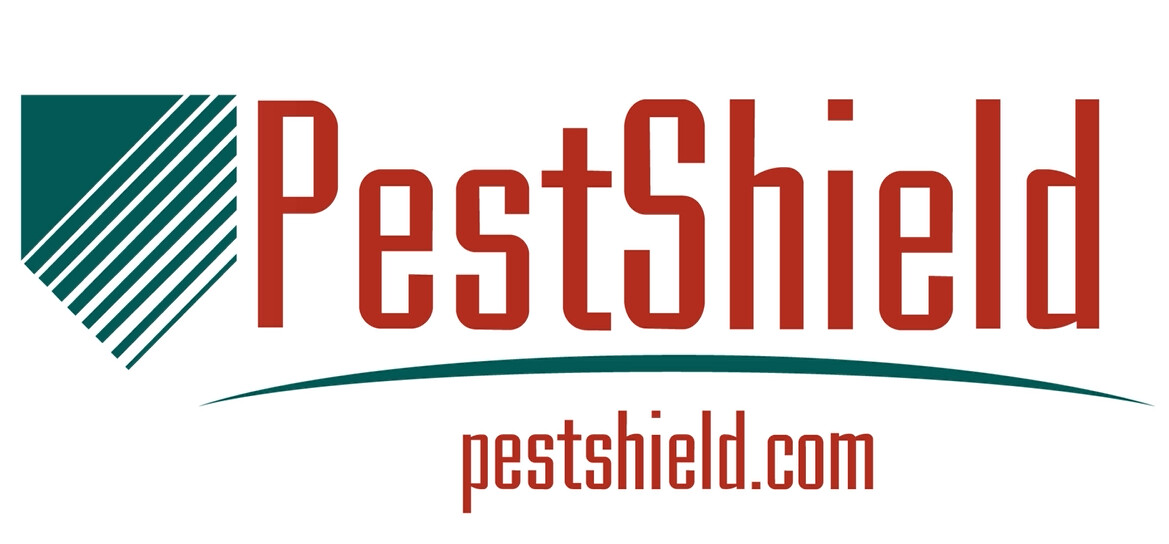 ArtStation - PestShield Logo Animation