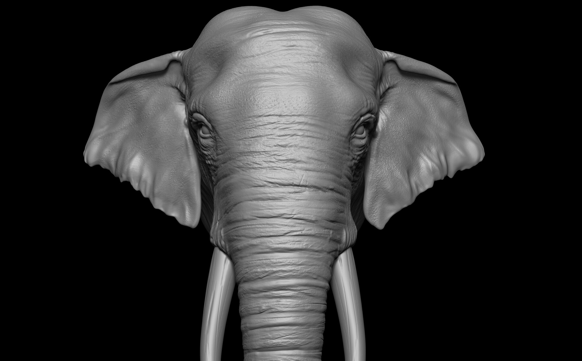 ArtStation - Elephant head