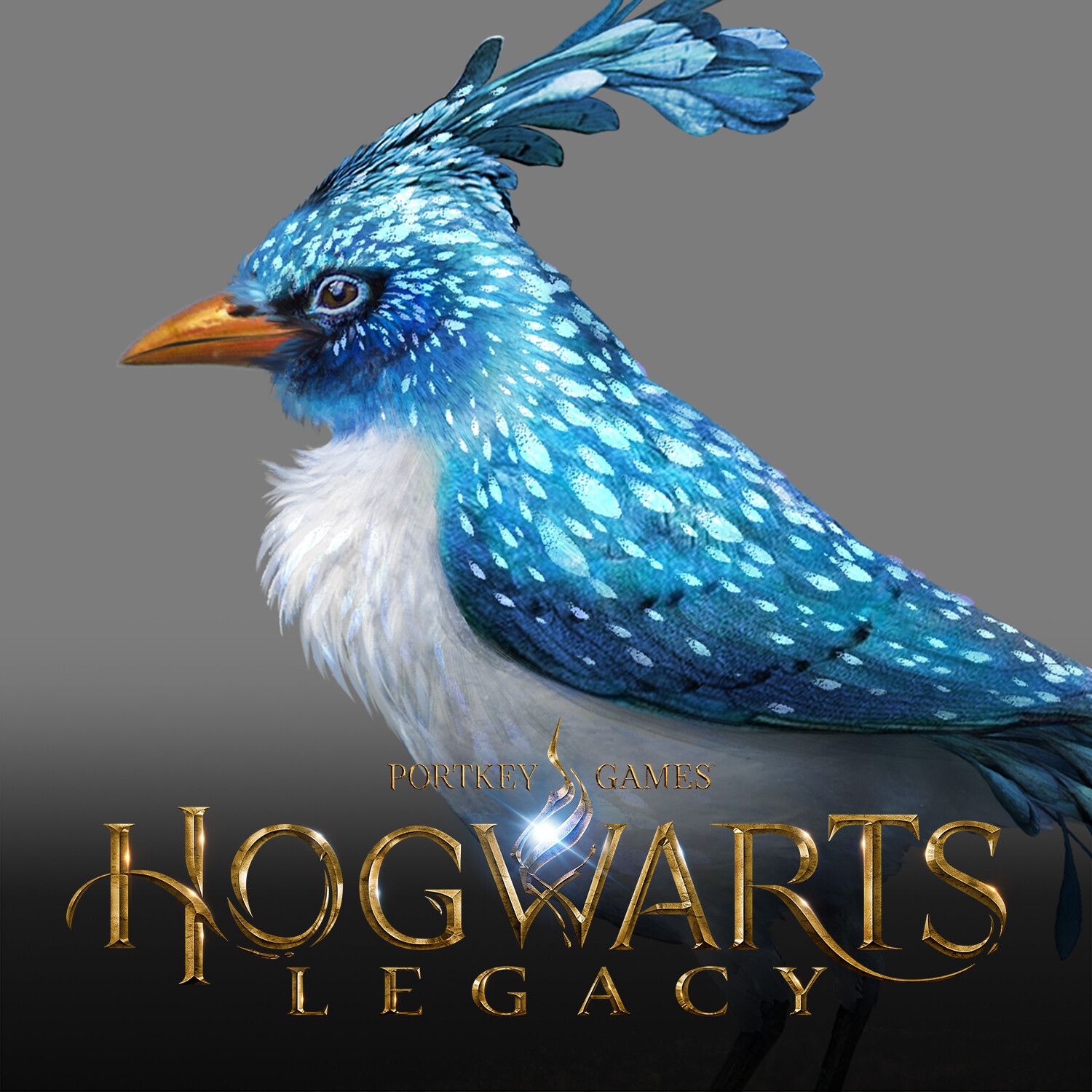 ArtStation - Hogwarts Legacy: Creatures