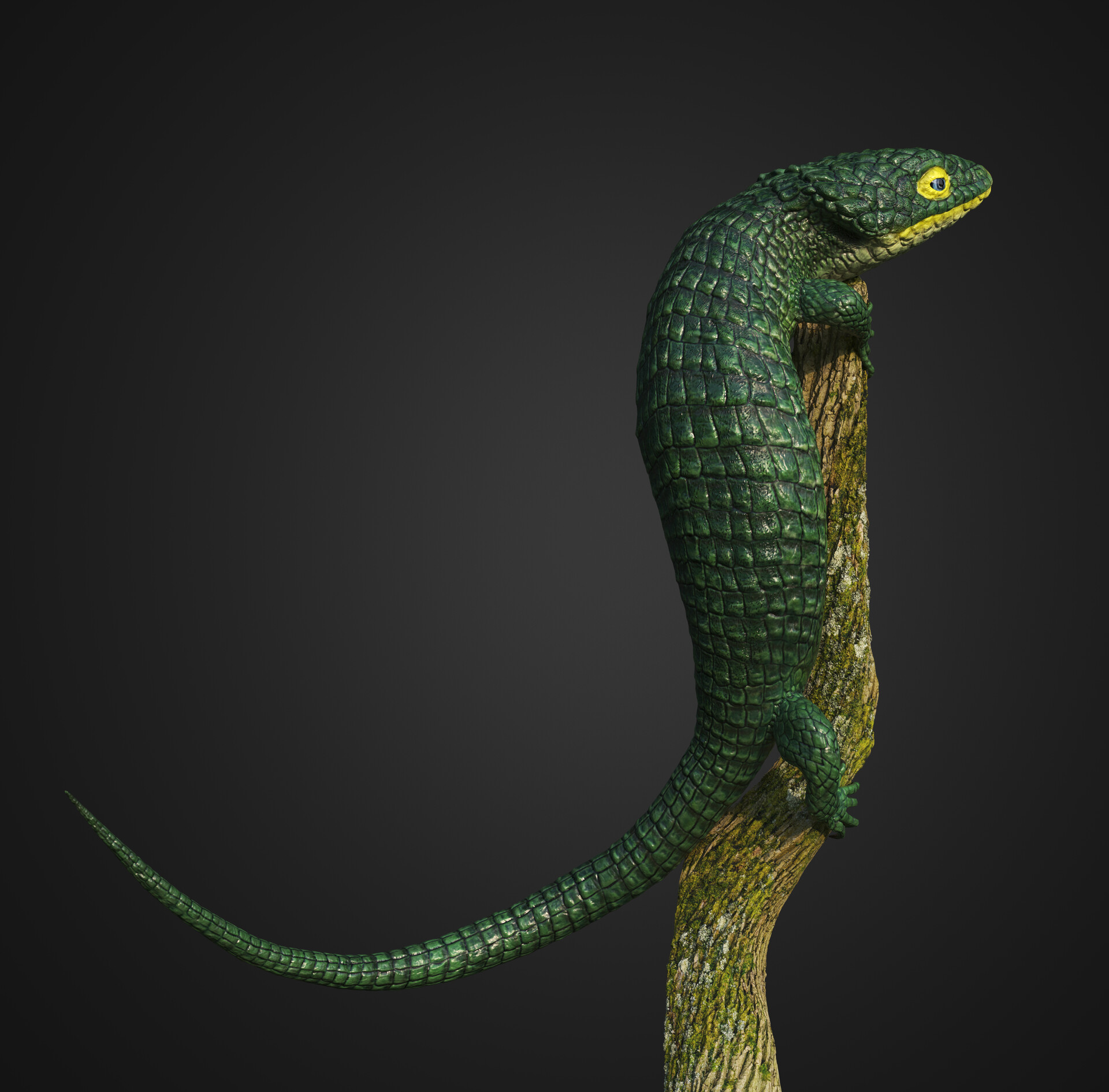 ArtStation - CGI Mexican Alligator Lizard 3D model
