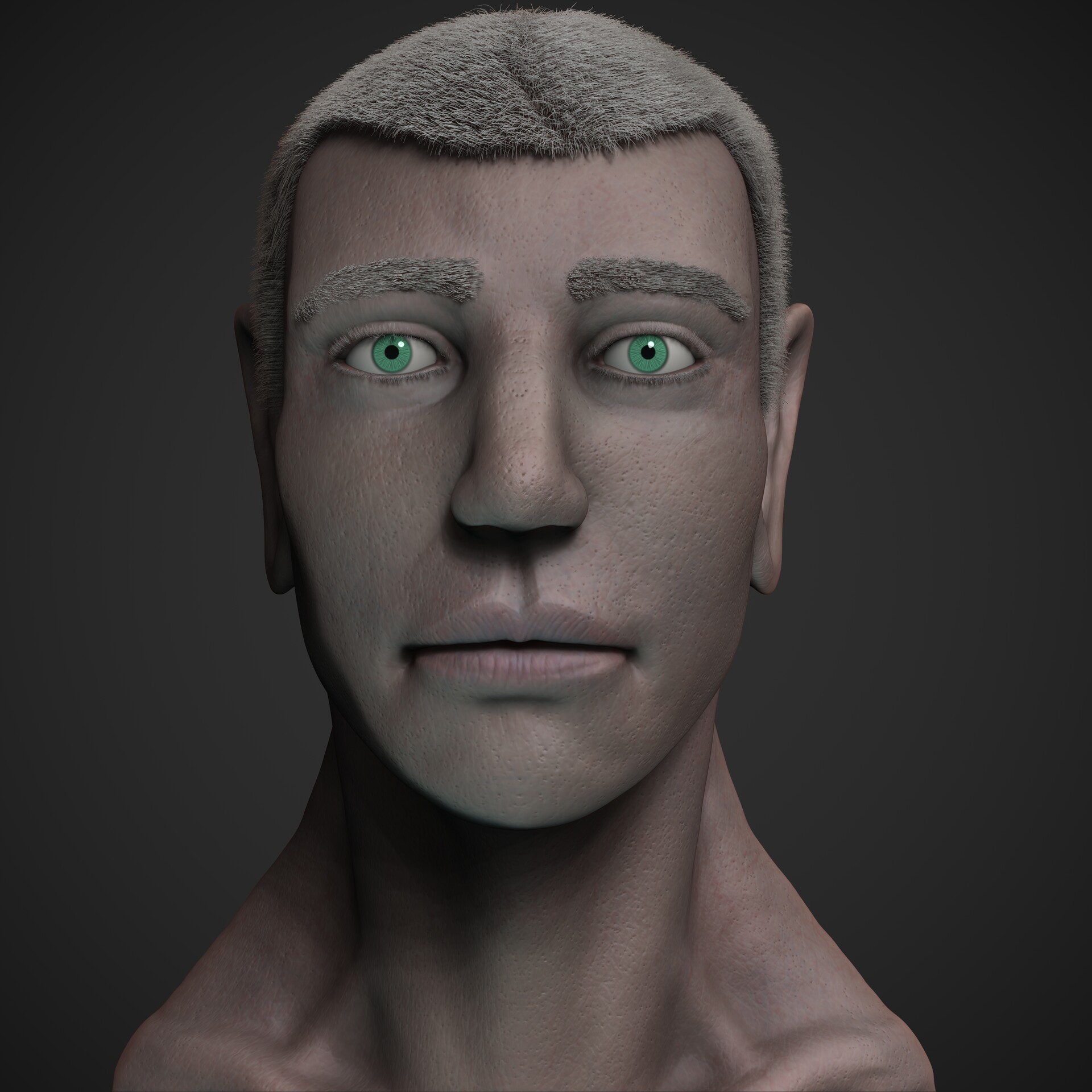 ArtStation - Vlad Bust head practise