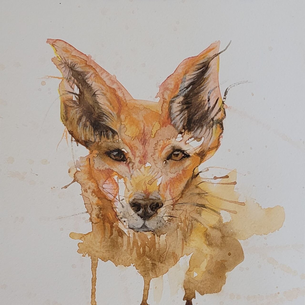 ArtStation - Animals of Australia