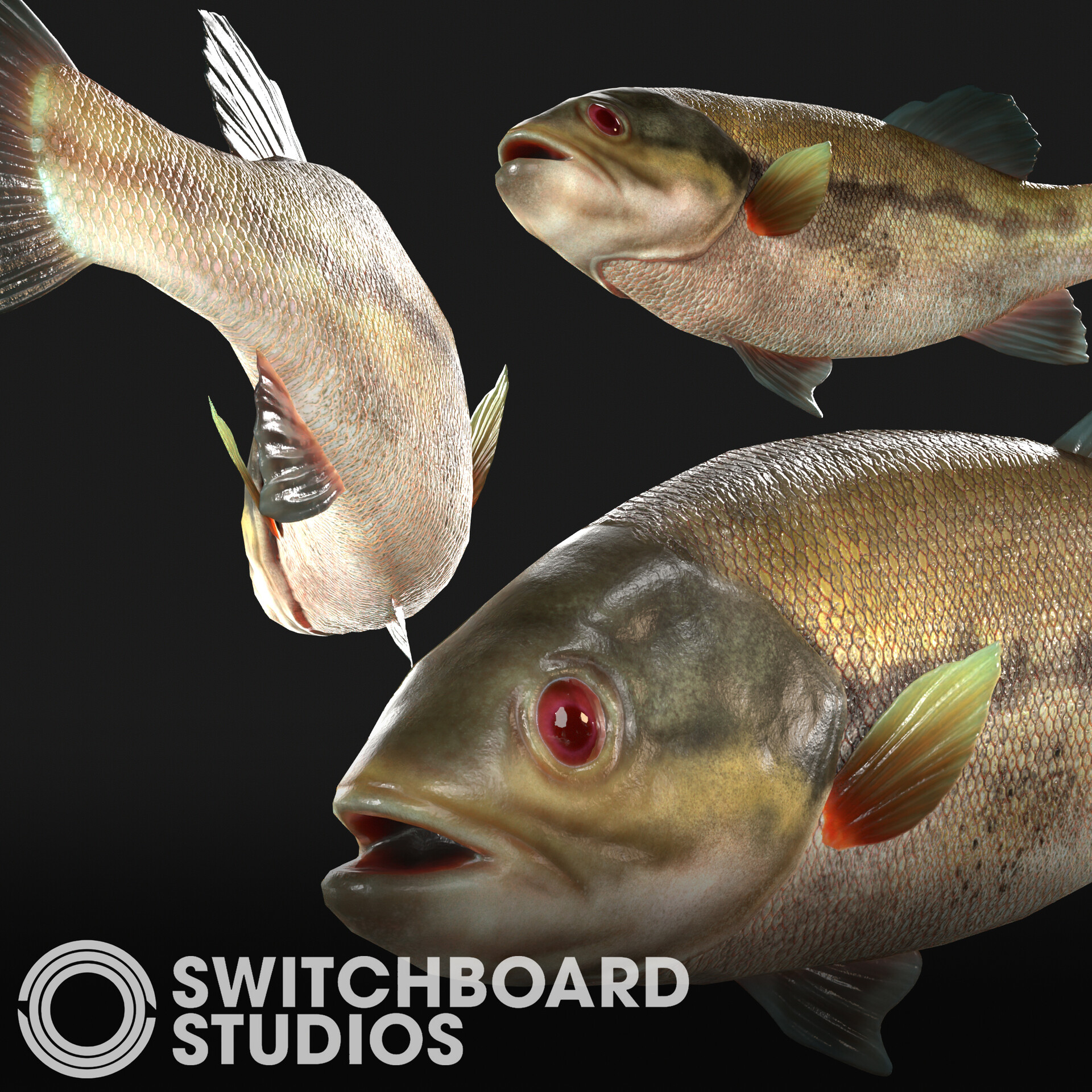 ArtStation - Bass - FreshWaterFish Pack