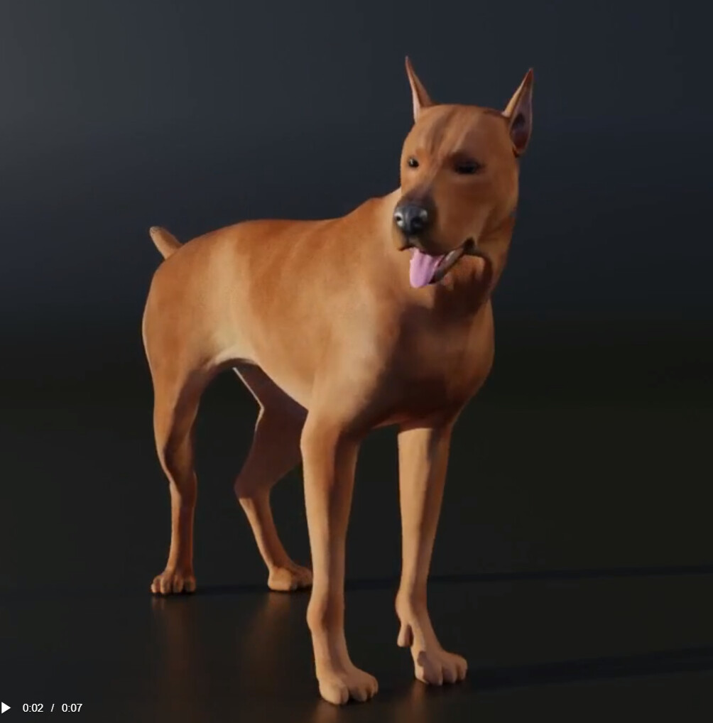 ArtStation - Quadruped Animation - Dog