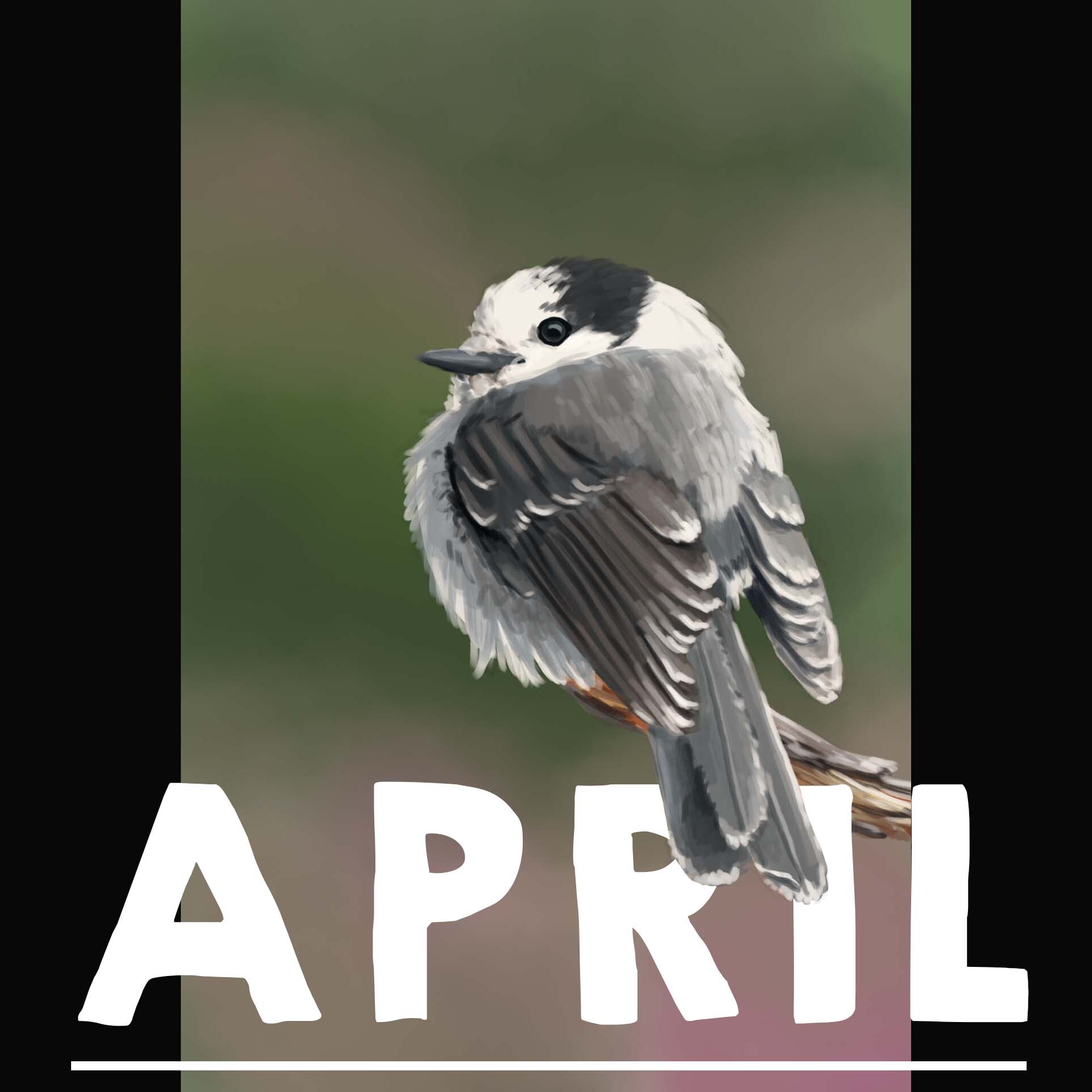 ArtStation - April's Studies