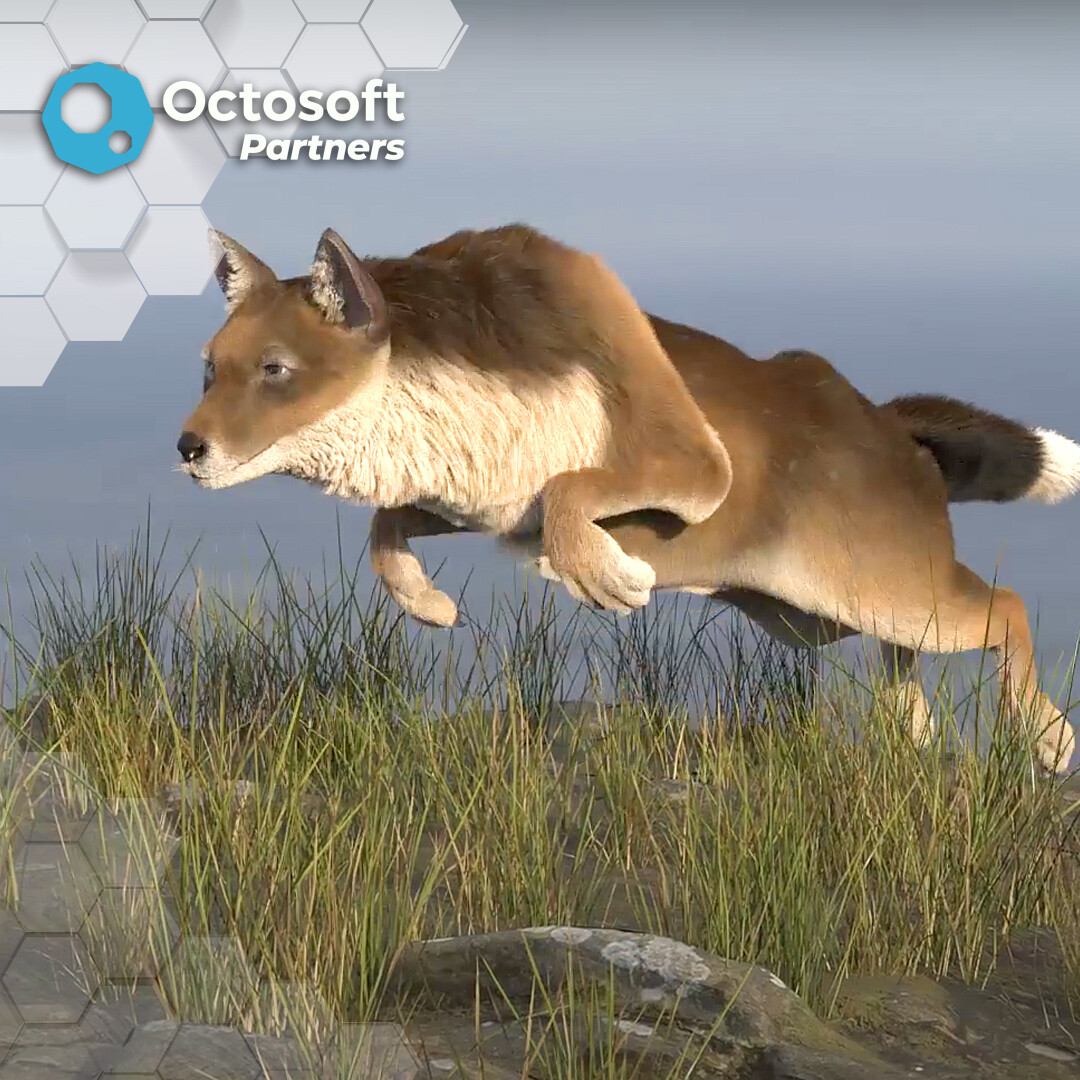 ArtStation - Fox Animation