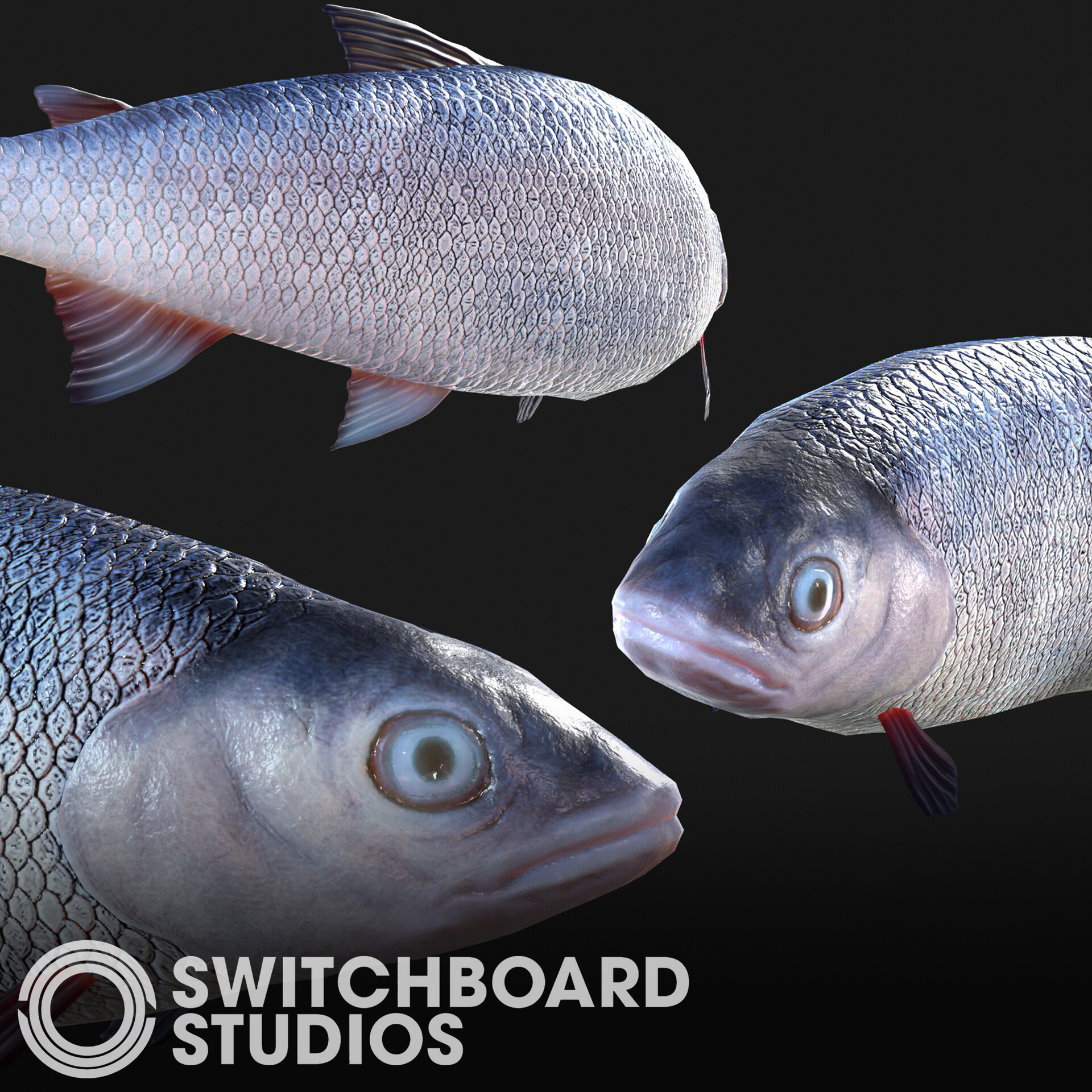 ArtStation - White Fish - FreshWaterFish Pack