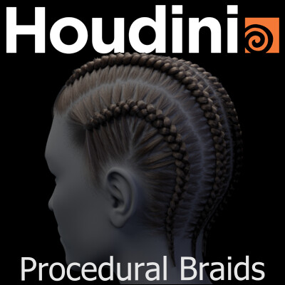 Steve U. - Houdini Procedural Braids