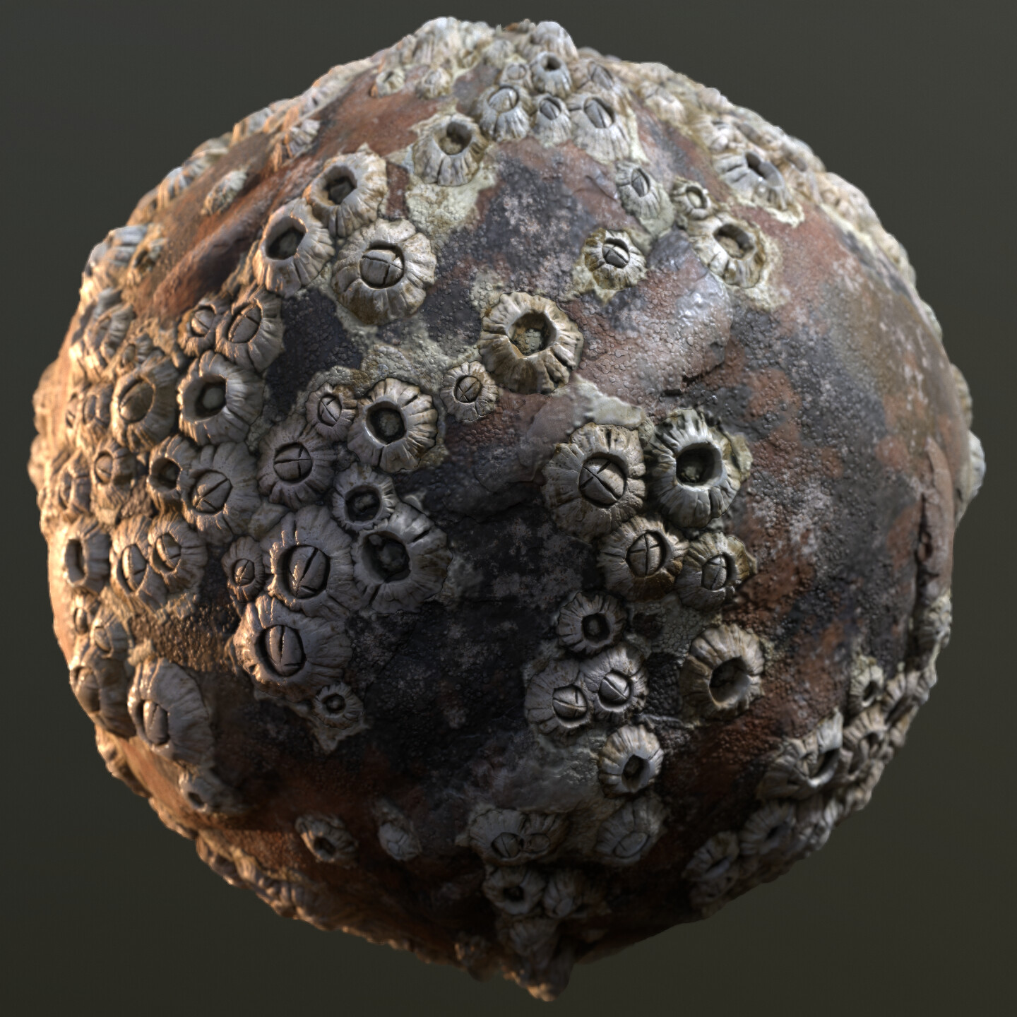 ArtStation - Substance Designer : Barnacles inspired material