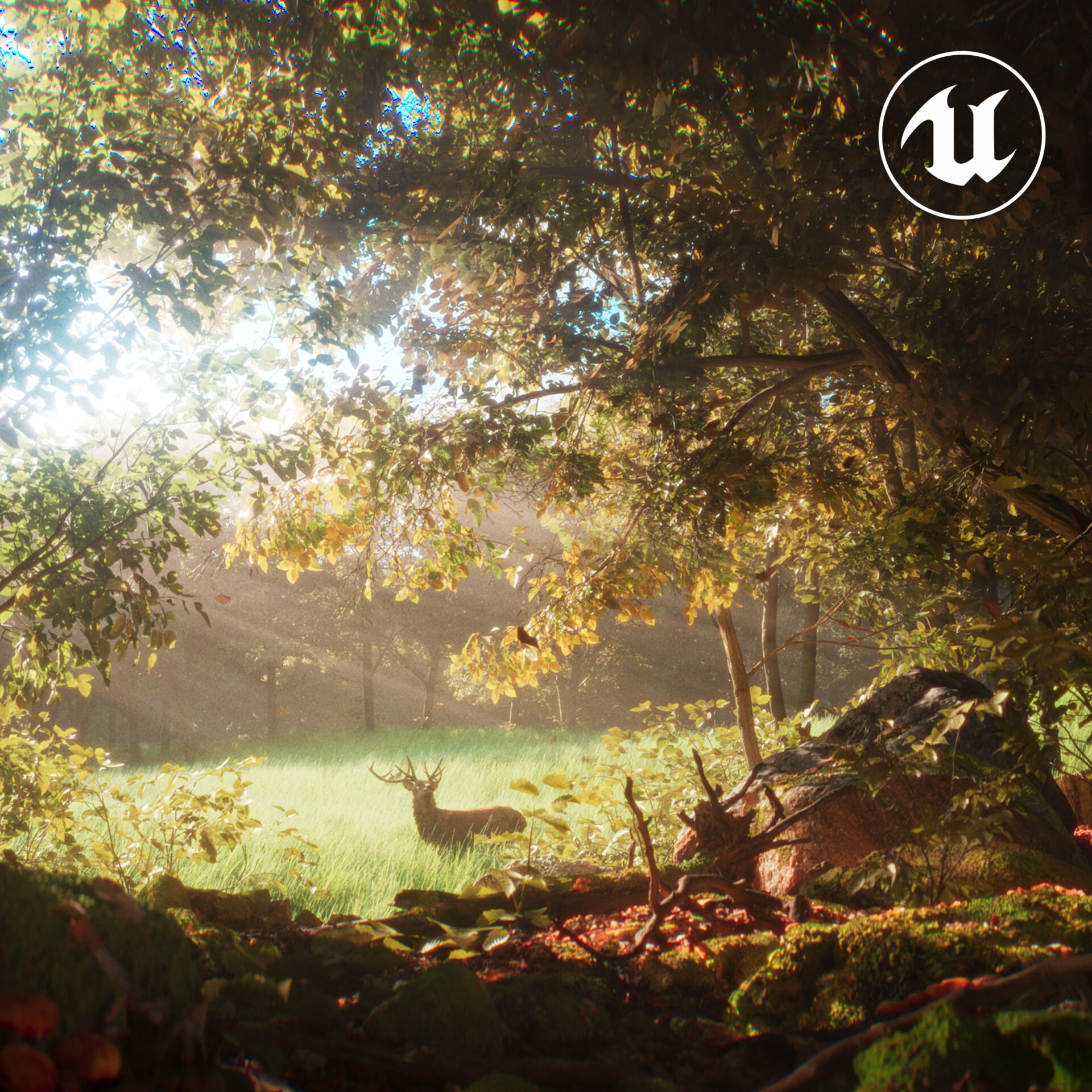 ArtStation - Serene Forest Opening - Unreal Engine 5 [UE5]