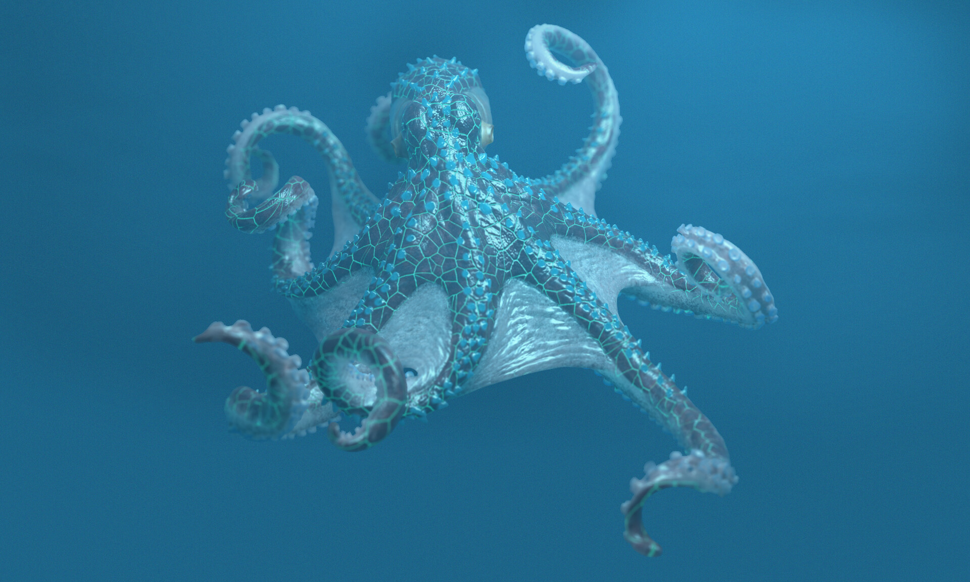 Javier López París - Octopus