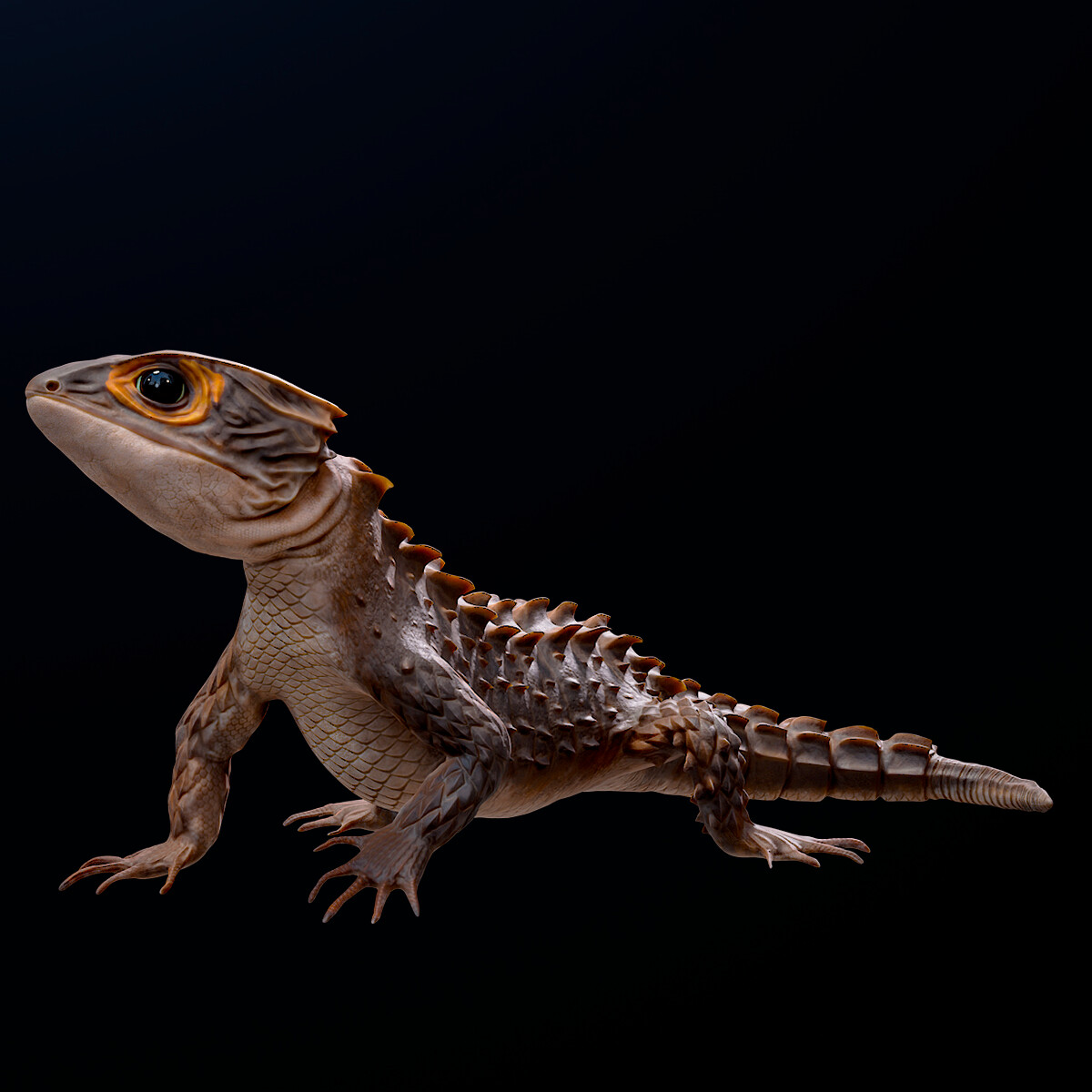 Cordy Daler - Crocodile Skink 3D Model