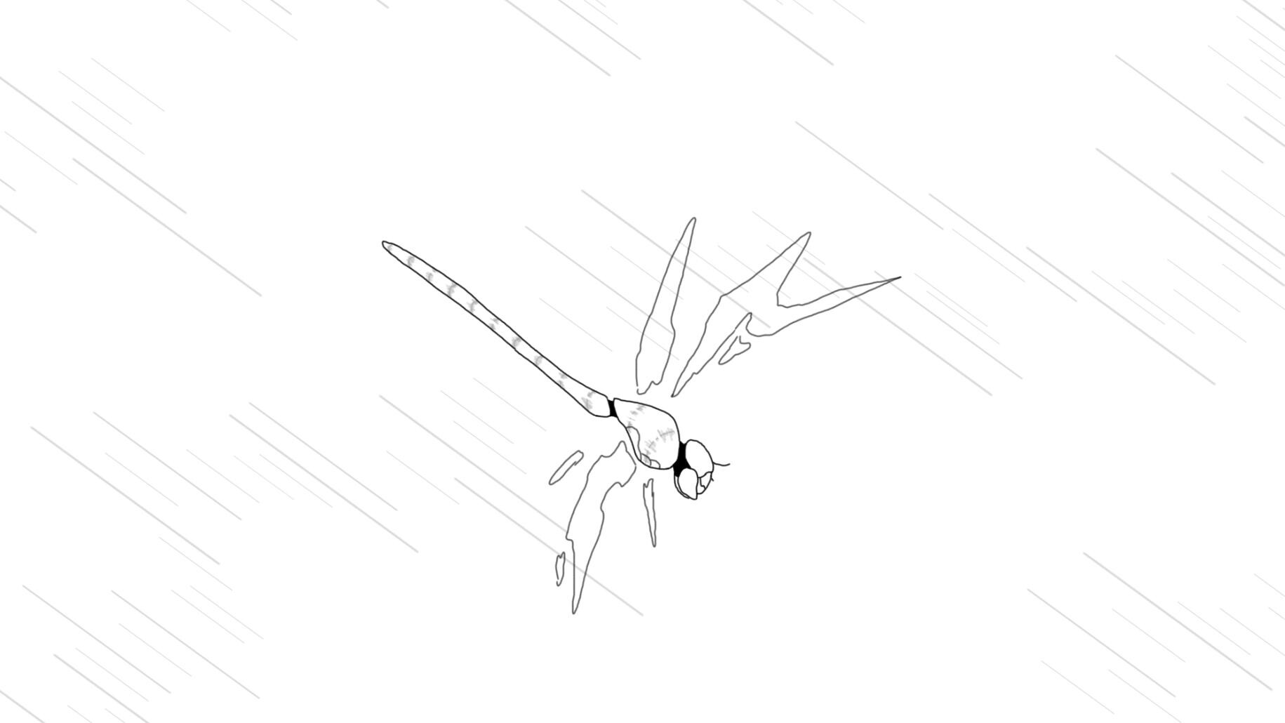 ArtStation - Dragonfly Animation