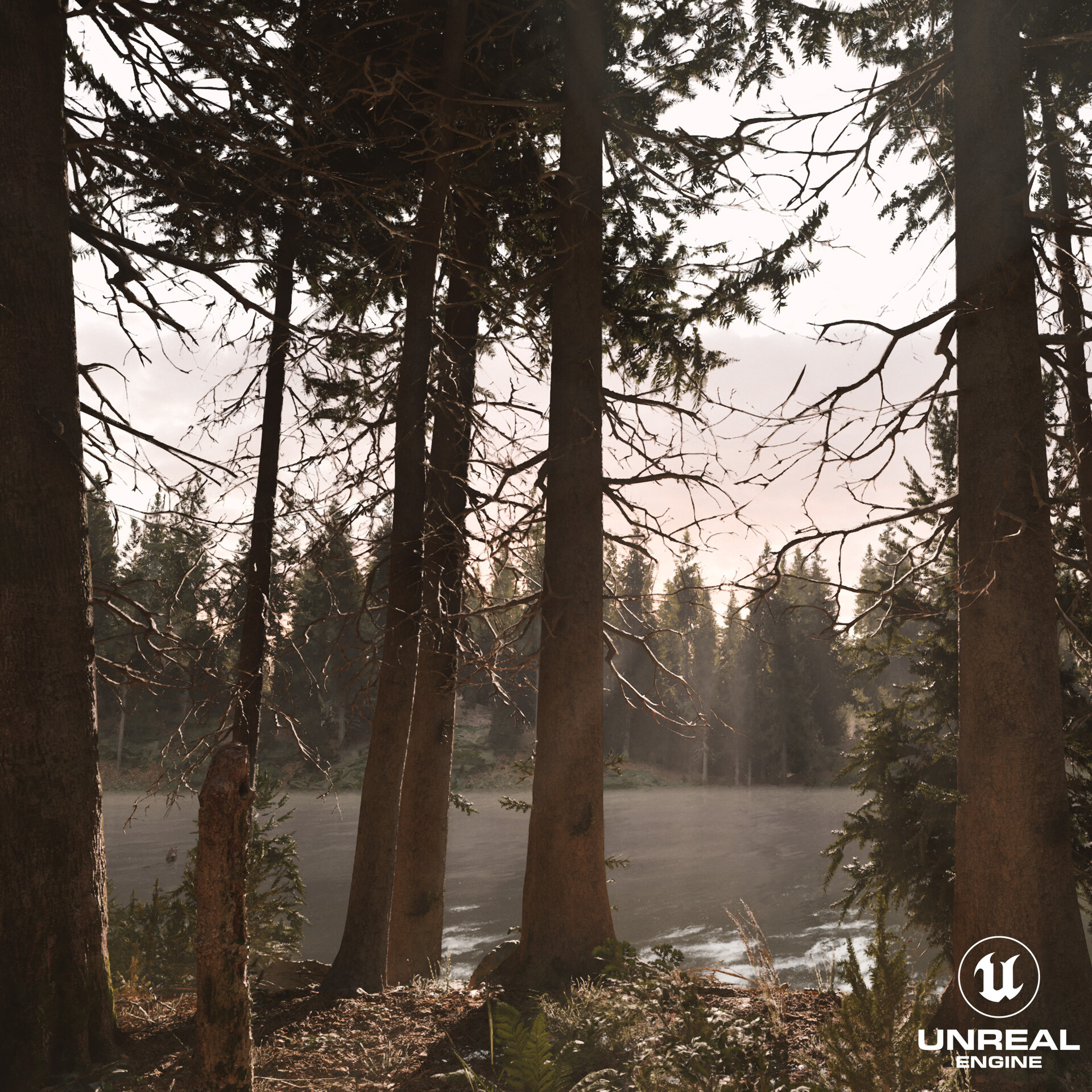 ArtStation - Realistic Forest Unreal Engine 5.2 Lumen Nanite Quixel