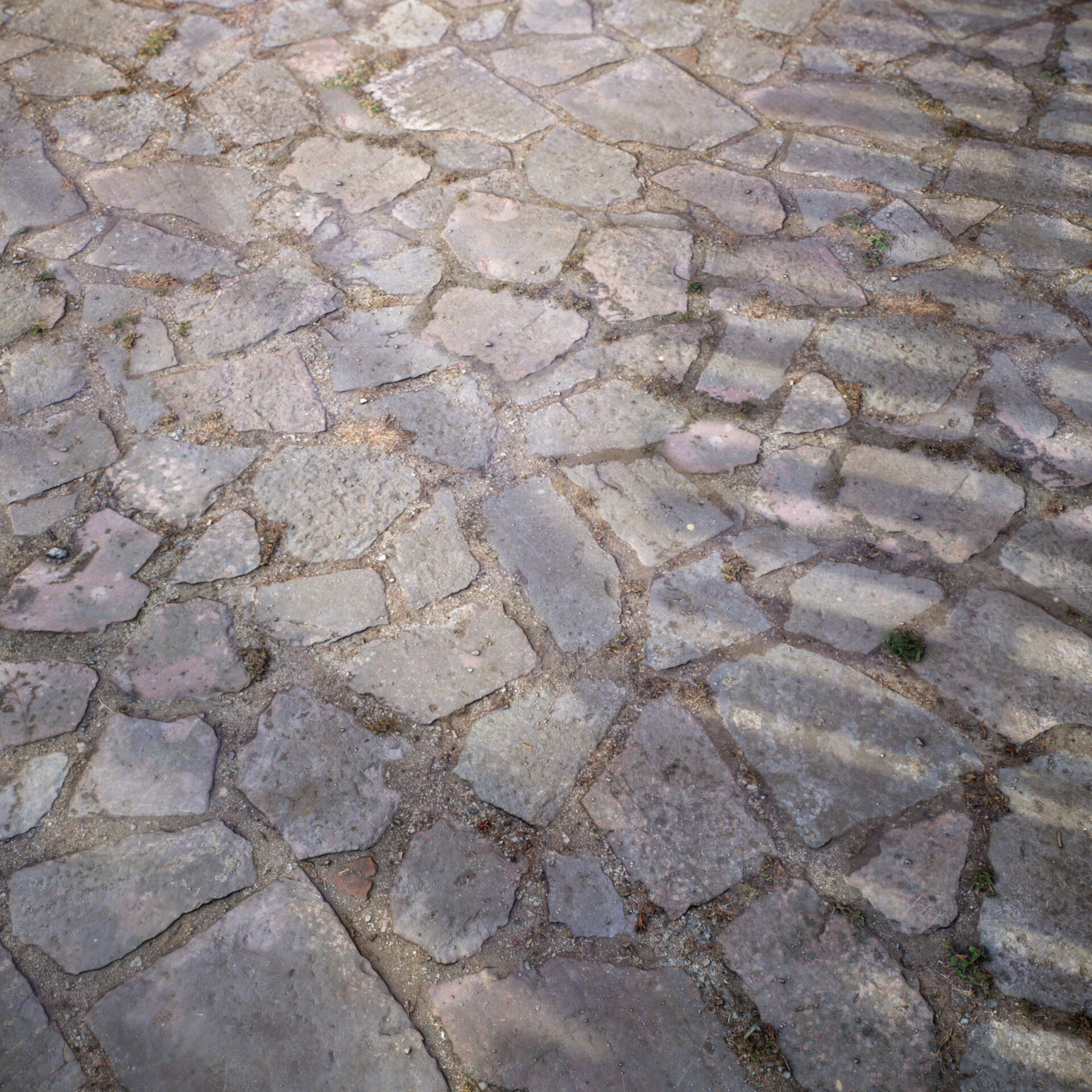 ArtStation - Montenegro Floor Tile 6